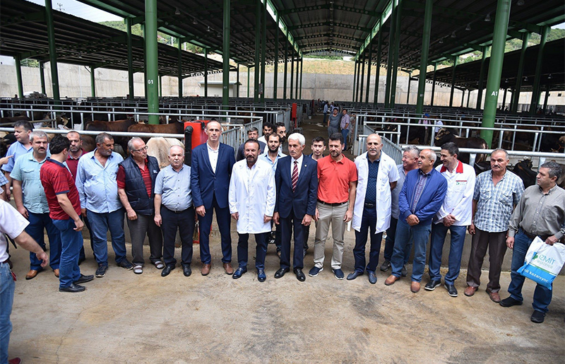 Turkey's Qurban Bayram traditions keep up with changing times | Daily Sabah