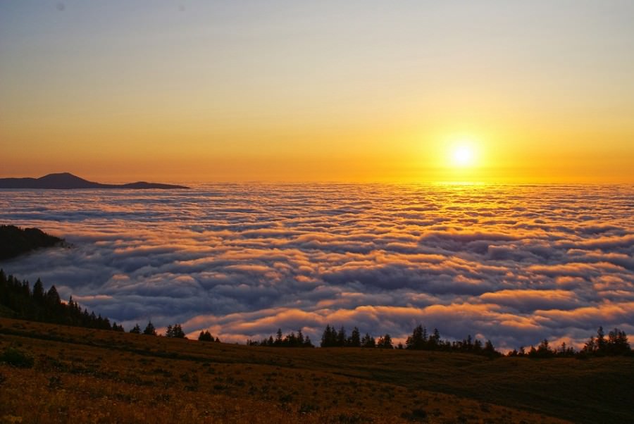 asdasdasd | Daily Sabah