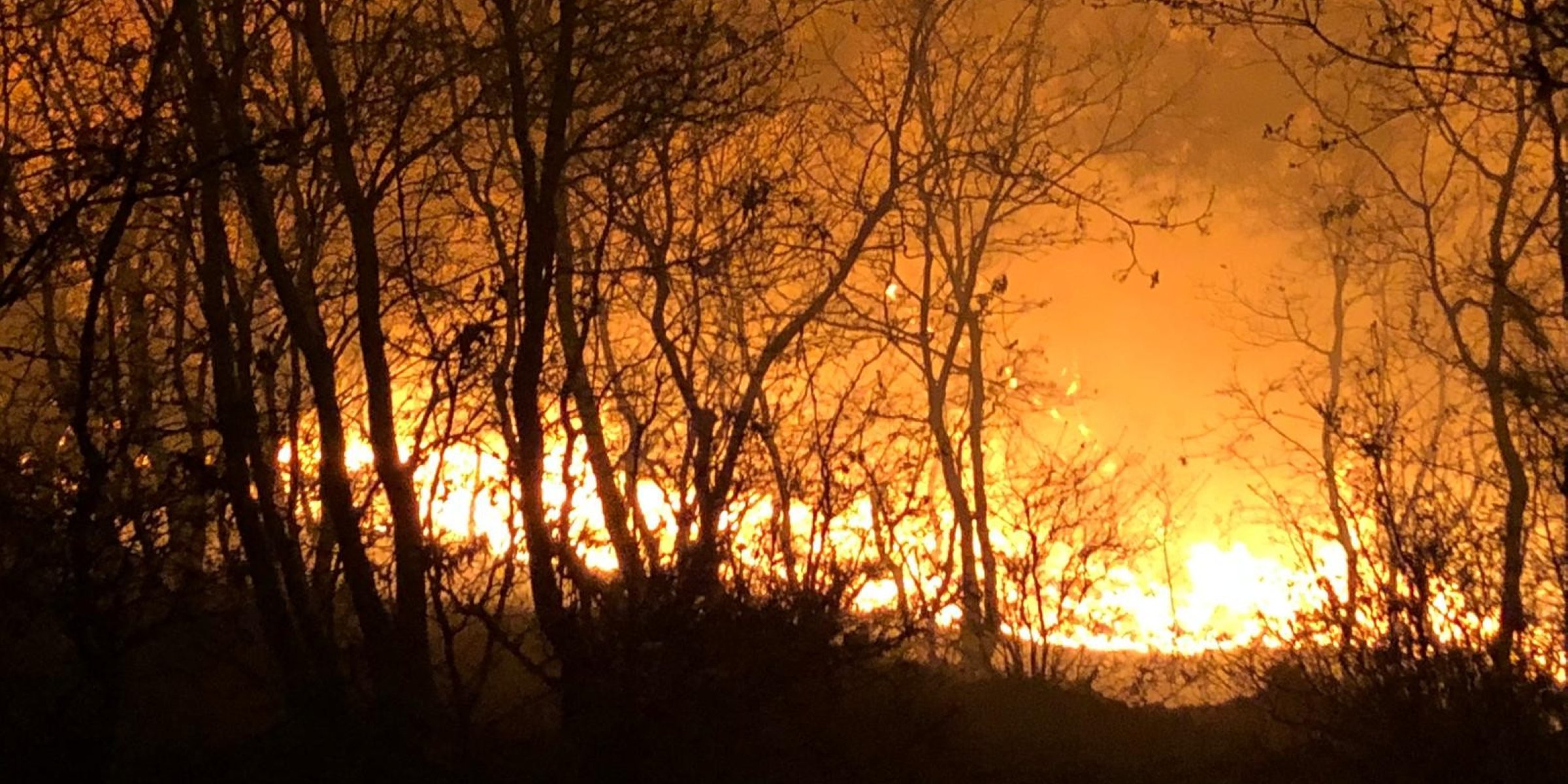 Environmental negligence main spark for forest fires in Turkey | Daily ...