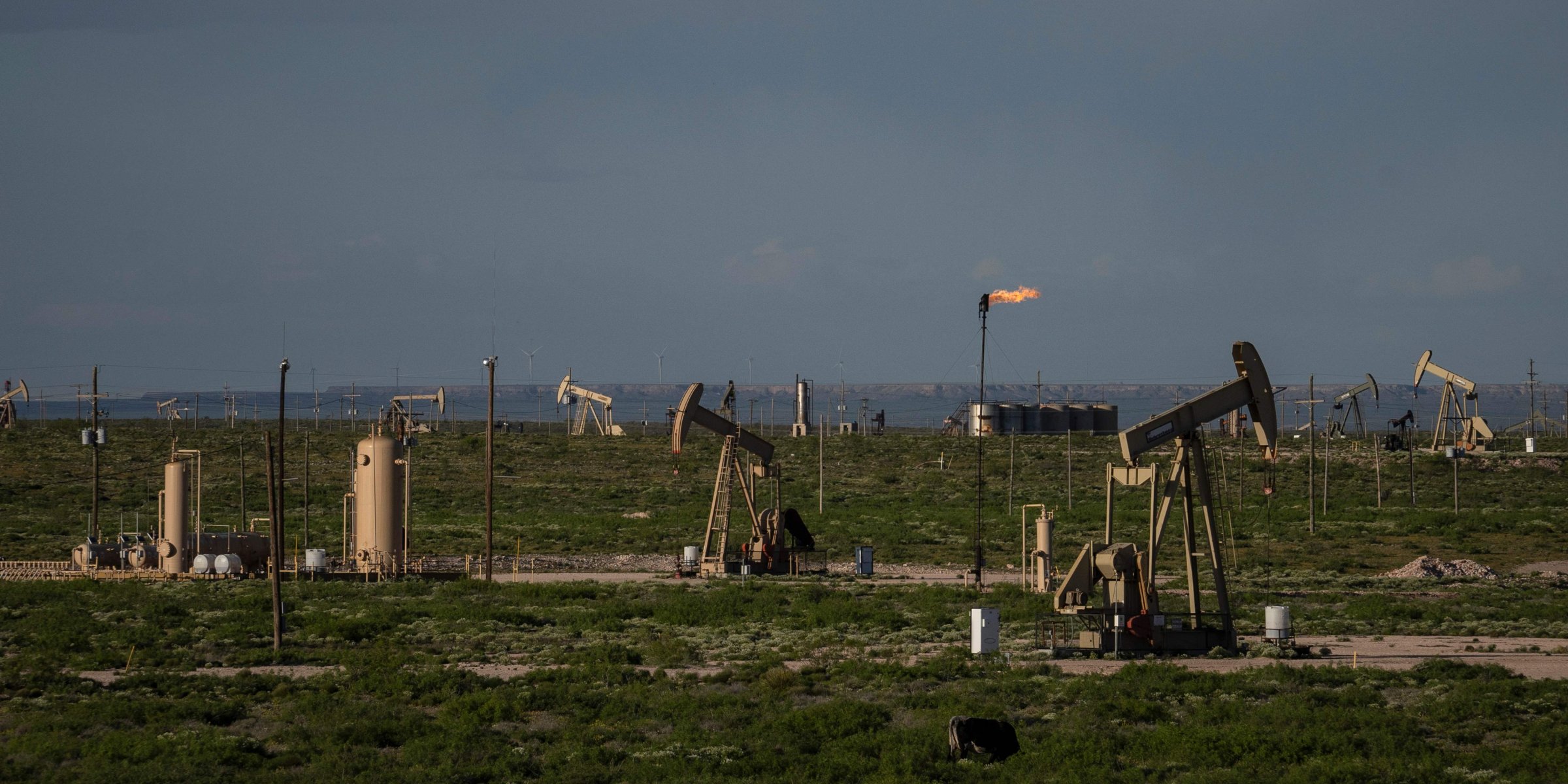 Turkey discovers new method to explore hydrocarbons | Daily Sabah