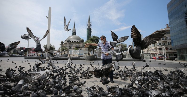 Istanbul’s air pollution down 30% | Daily Sabah