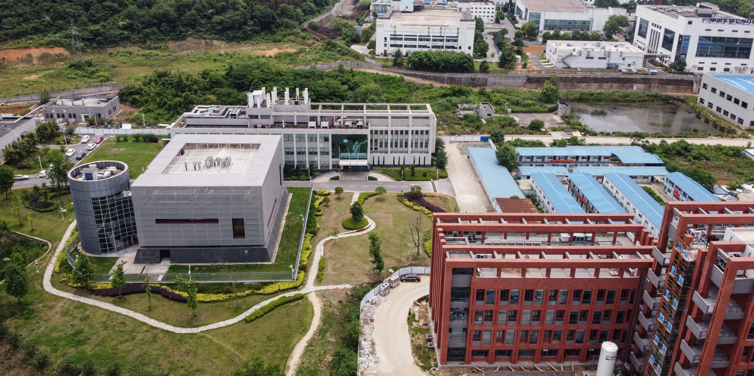 Wuhan lab had 3 bat coronaviruses; none match COVID-19 source: Chinese ...