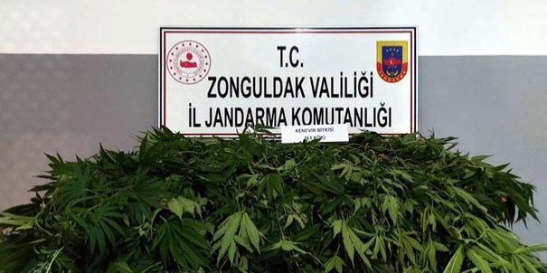 Turkey leads in drug seizures but remains a popular route: UN report ...