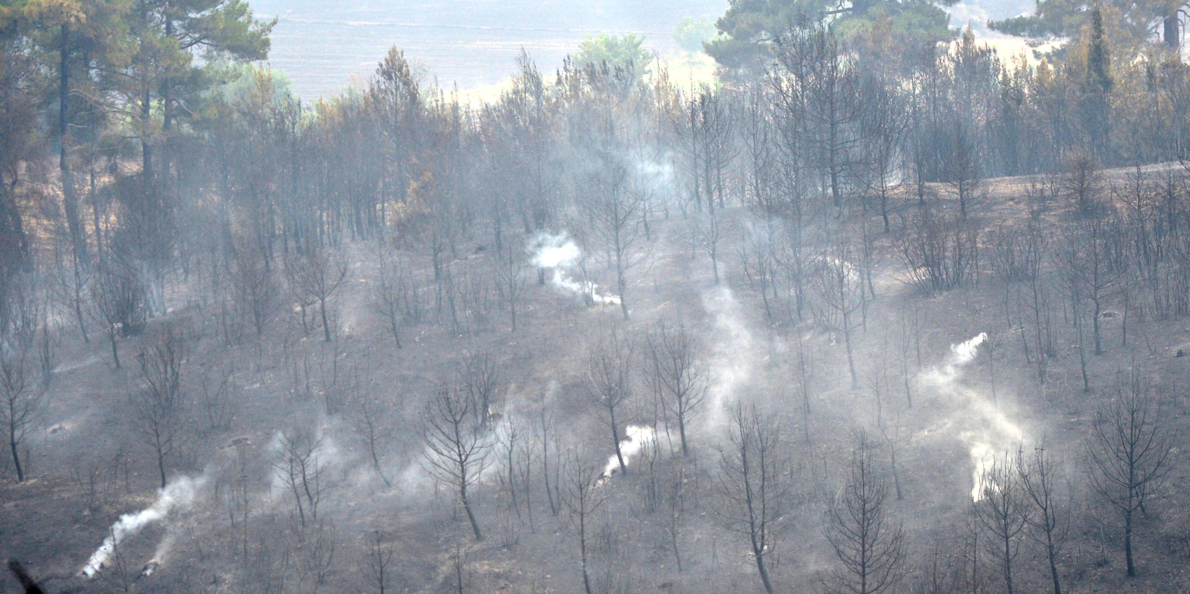 Forest fire in Turkey's Çanakkale under control | Daily Sabah