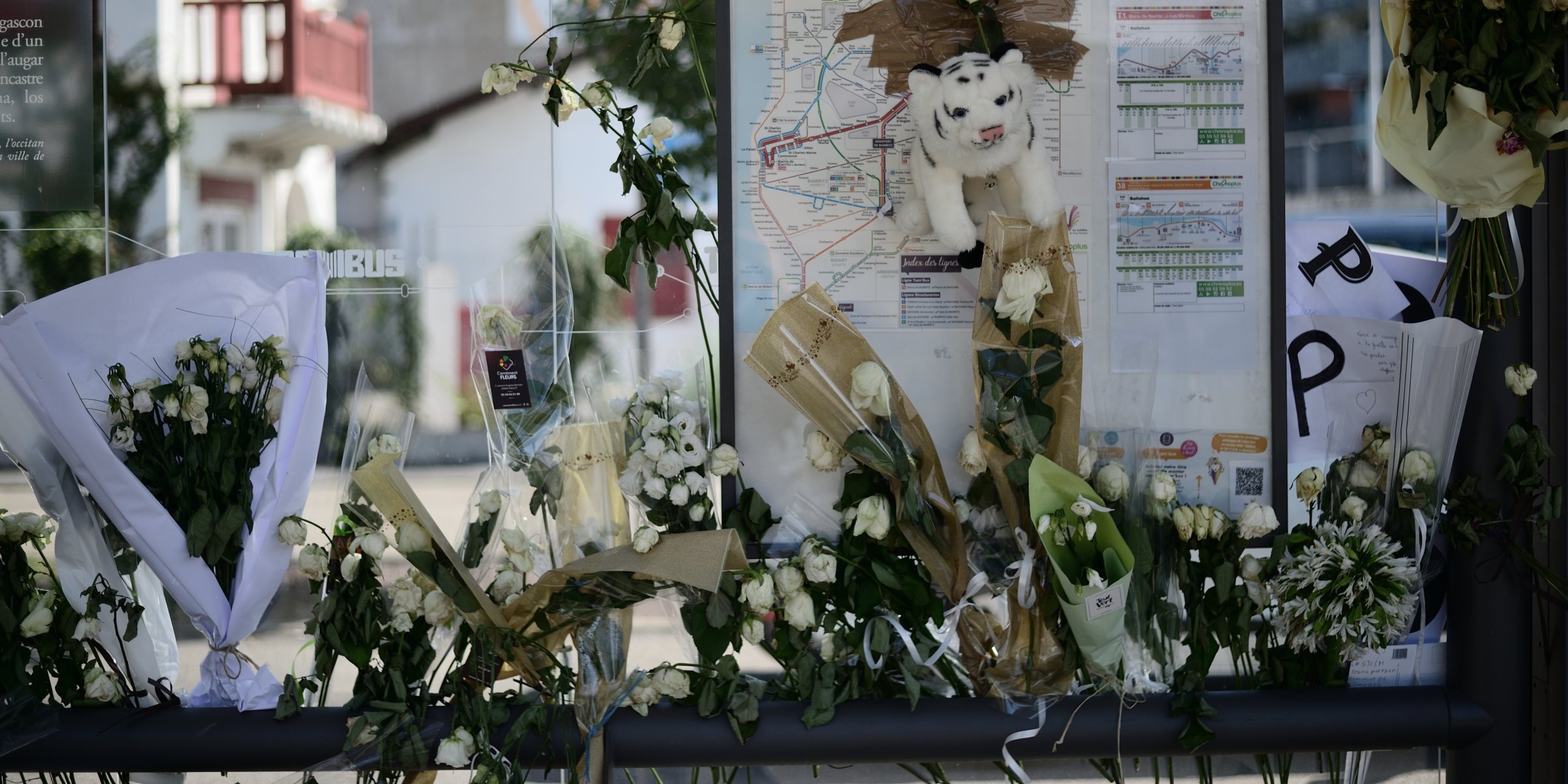 Widow condemns 'barbaric' death of French bus driver beaten over masks ...