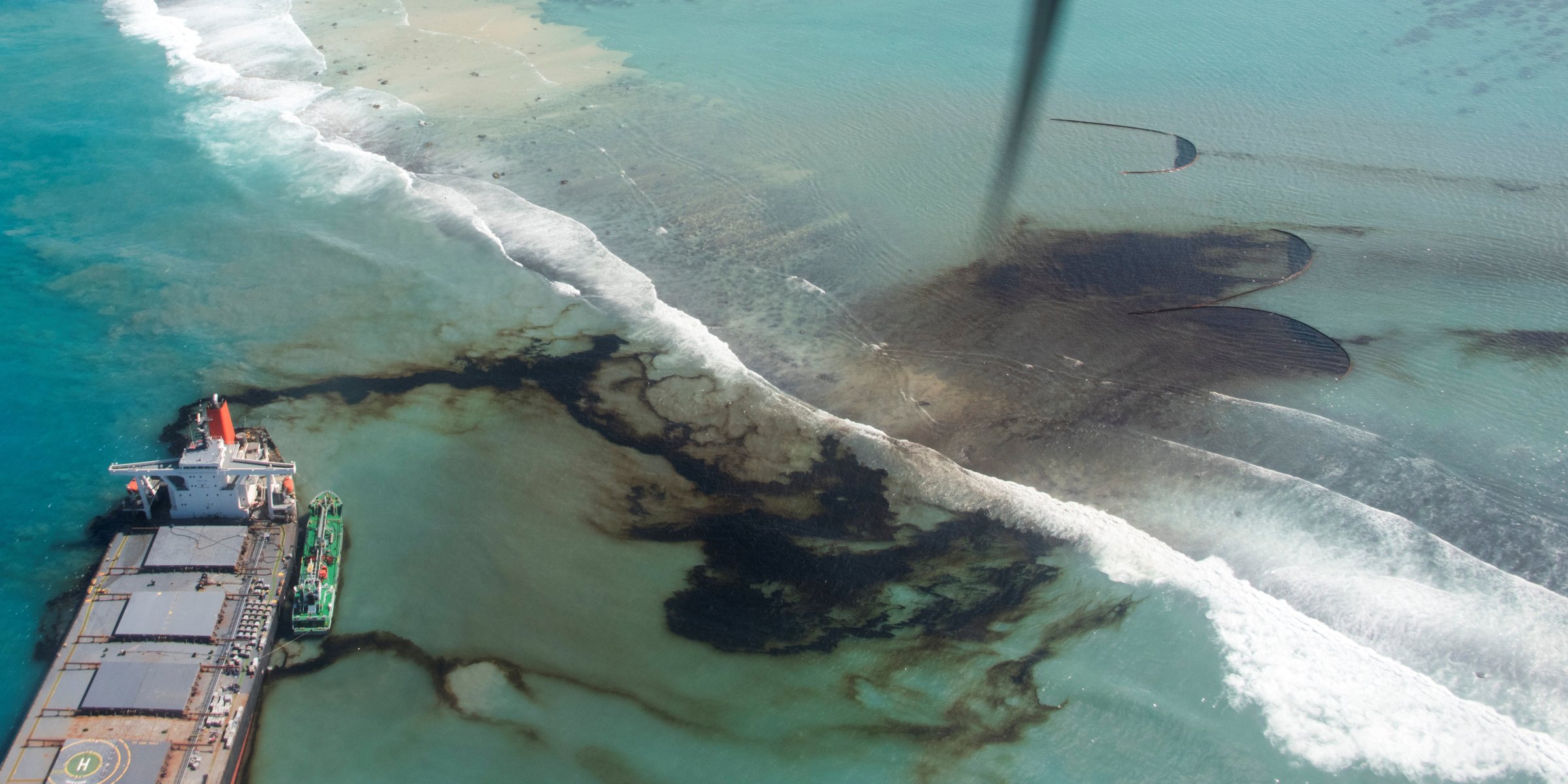 Sea life around Mauritius dying as oil spill spreads | Daily Sabah