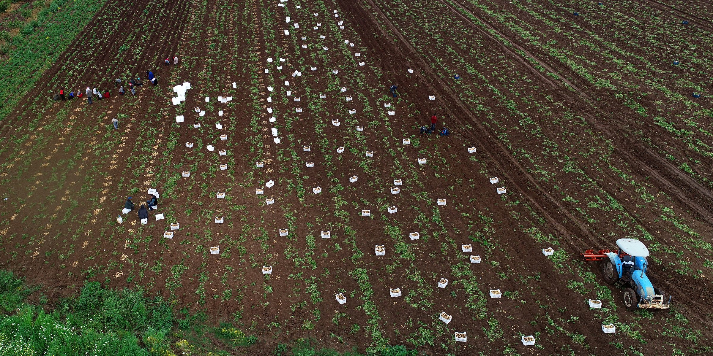 5 scenarios that will increase productivity in Turkey's agriculture ...