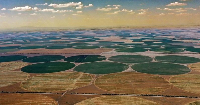 Different takes on the Ottoman Empire: A summer reading list | Daily Sabah