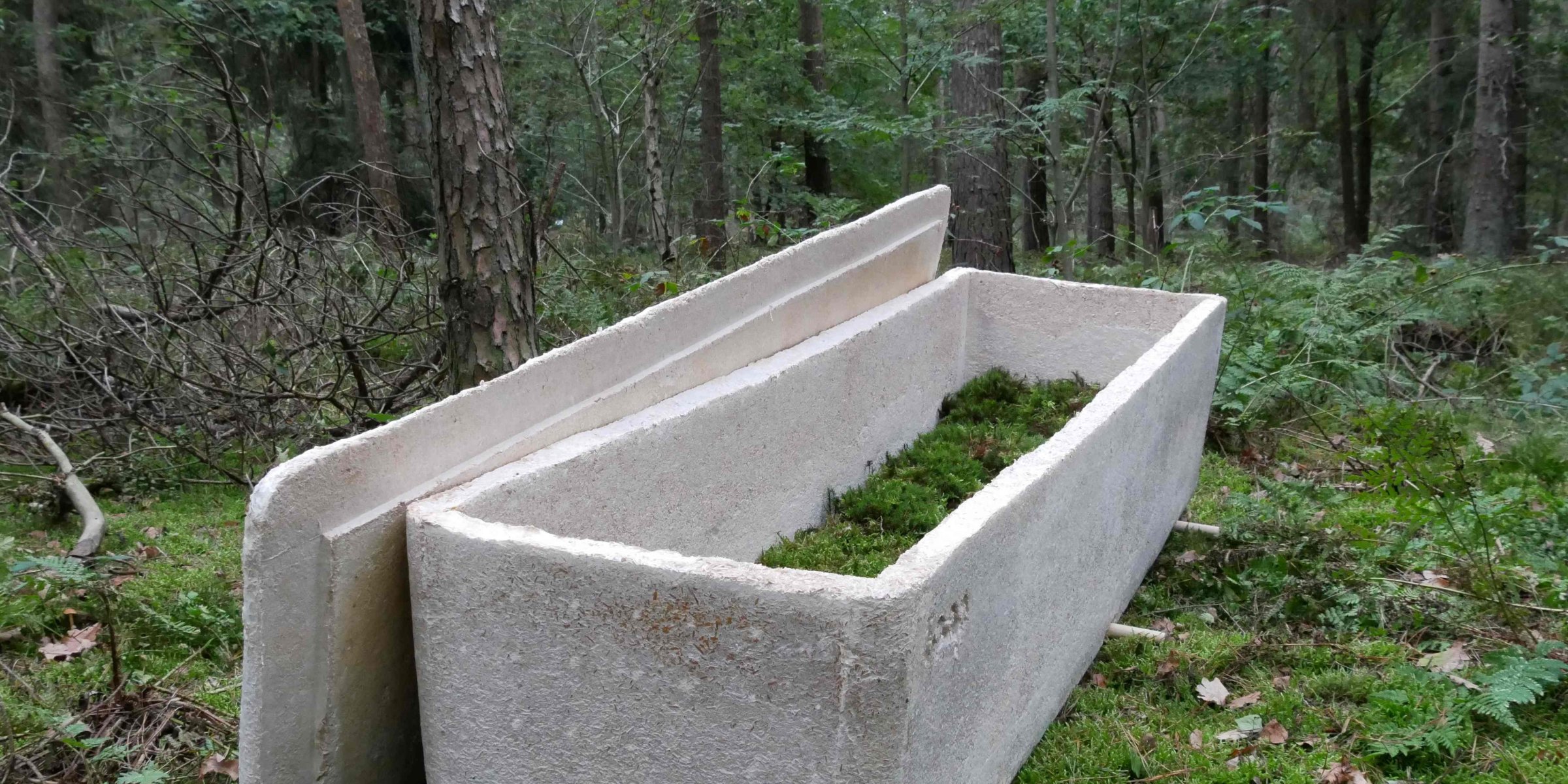Return to soil: Dutch inventor creates 'living coffins' that turn ...