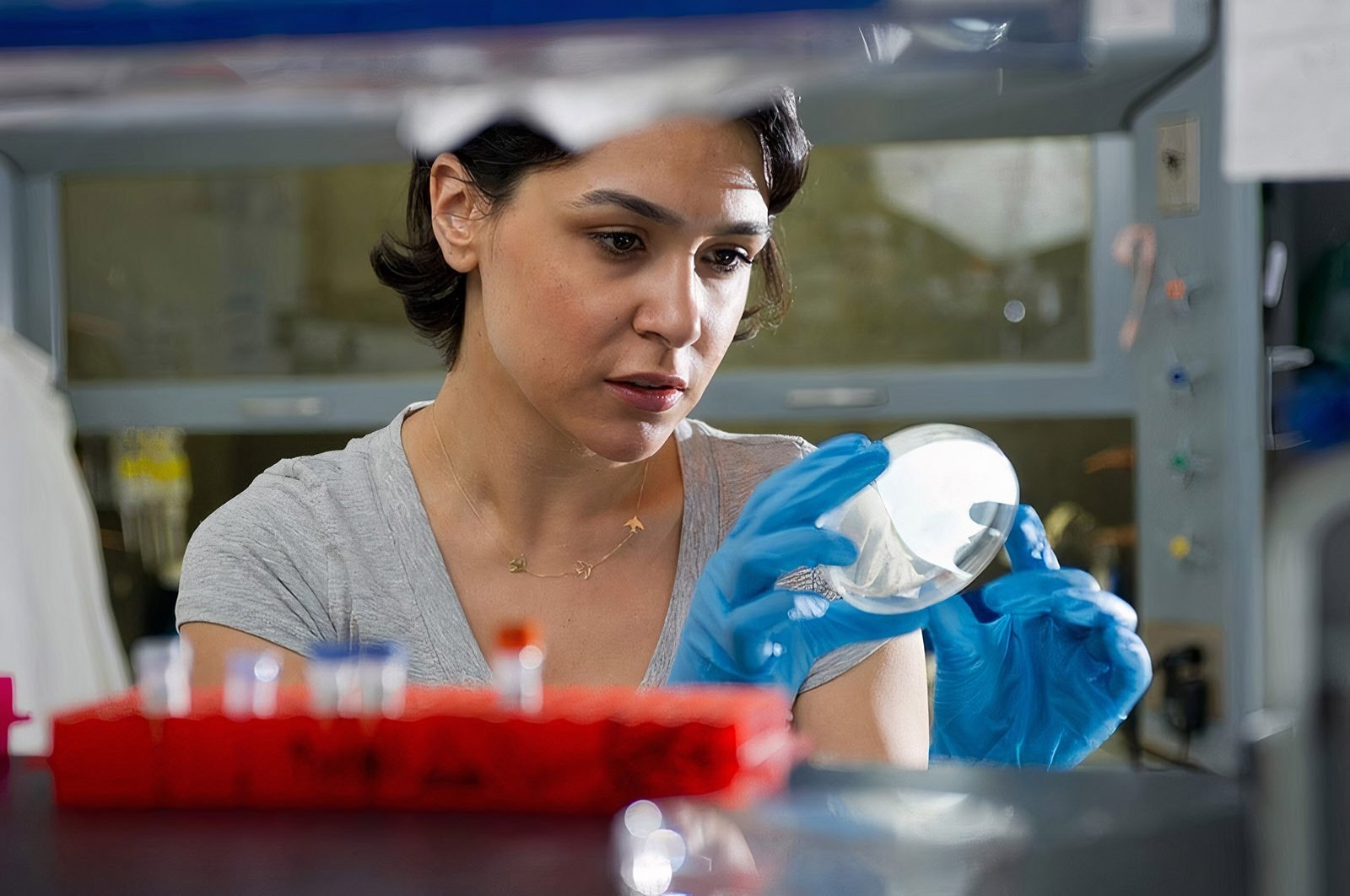 Turkish scientist to lead NASA team in search of life in other worlds ...