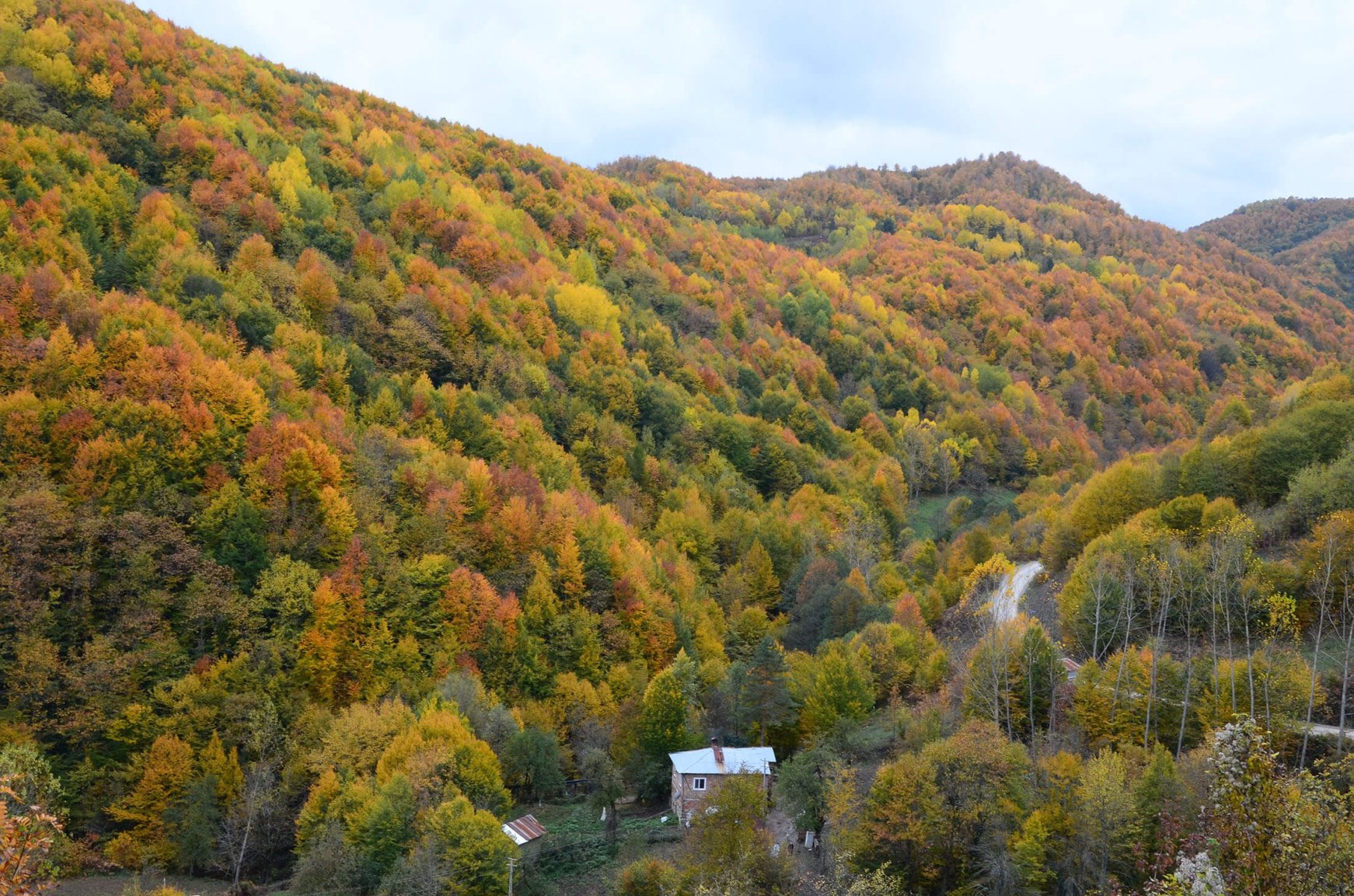 Red, orange, yellow: Turkey's mesmerizing fall season | Daily Sabah