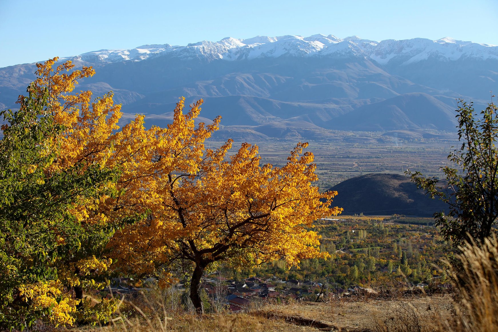 Red, orange, yellow: Turkey's mesmerizing fall season | Daily Sabah