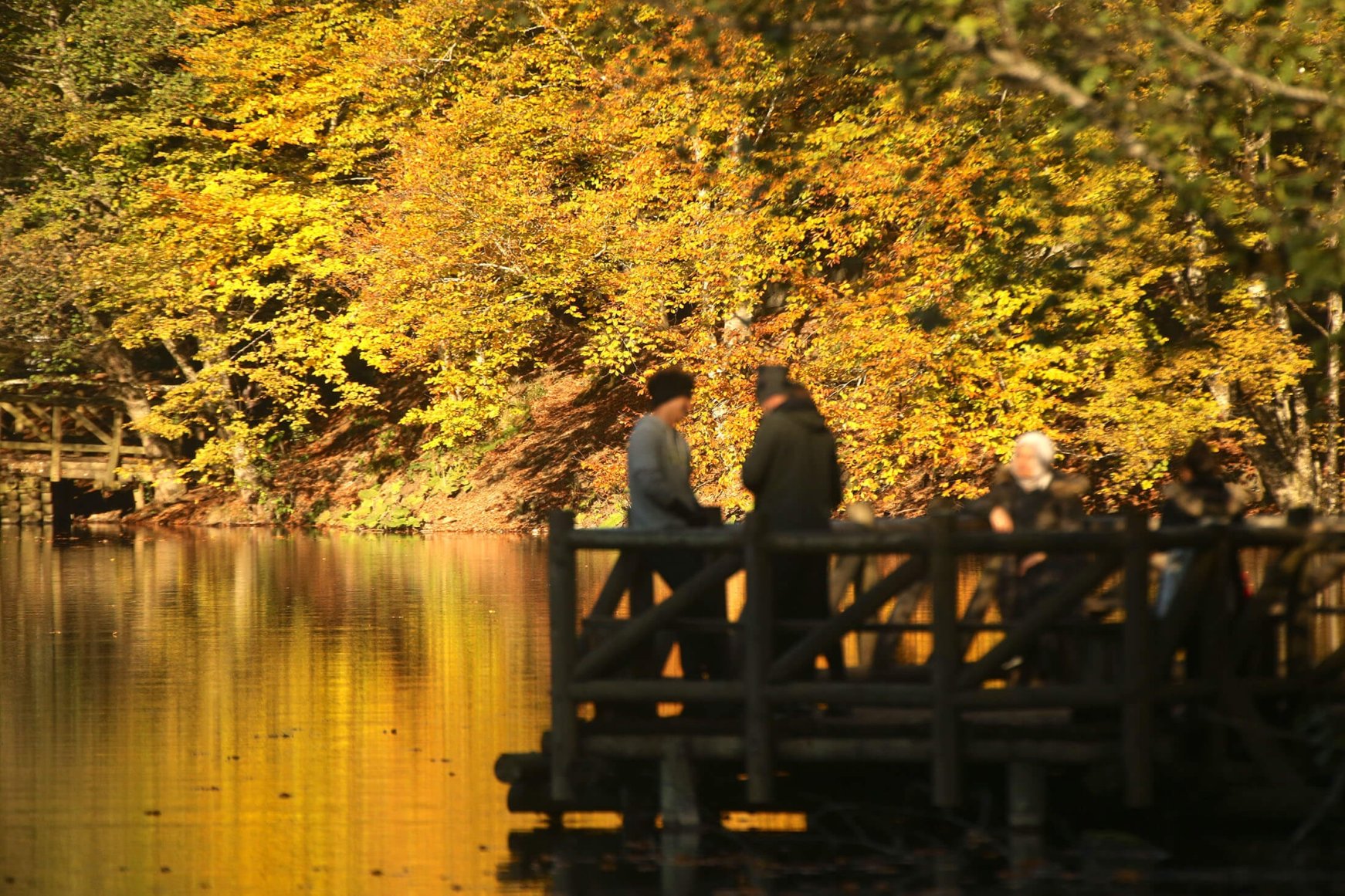 Red, orange, yellow: Turkey's mesmerizing fall season | Daily Sabah