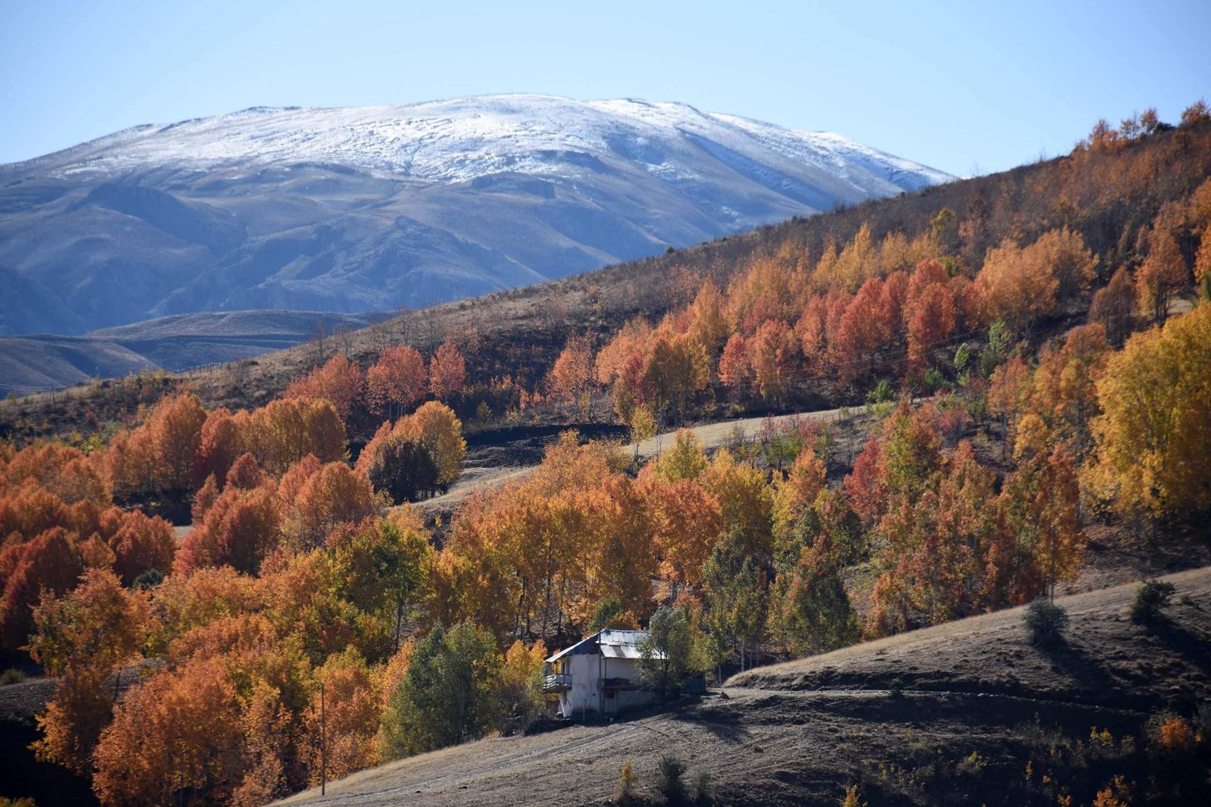 Red, orange, yellow: Turkey's mesmerizing fall season | Daily Sabah
