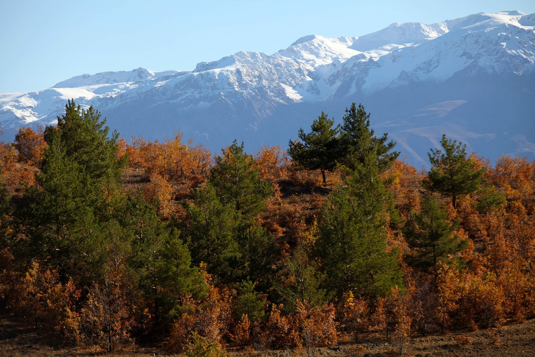 Red, orange, yellow: Turkey's mesmerizing fall season | Daily Sabah