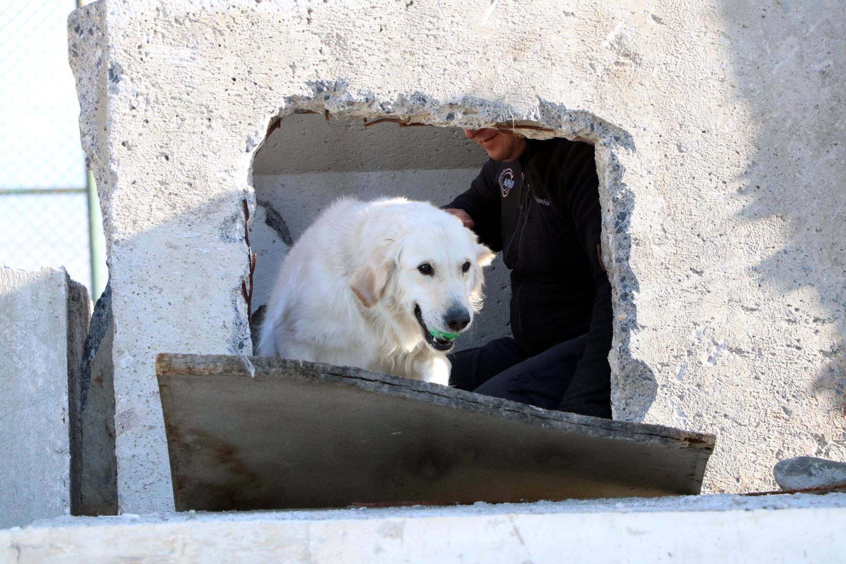 Turkey's secret superhero: Sniffer dog Poyraz | Daily Sabah