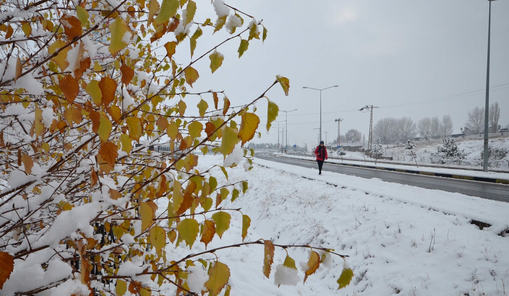 Many regions in Turkey experience this year's first snowfall | Daily Sabah