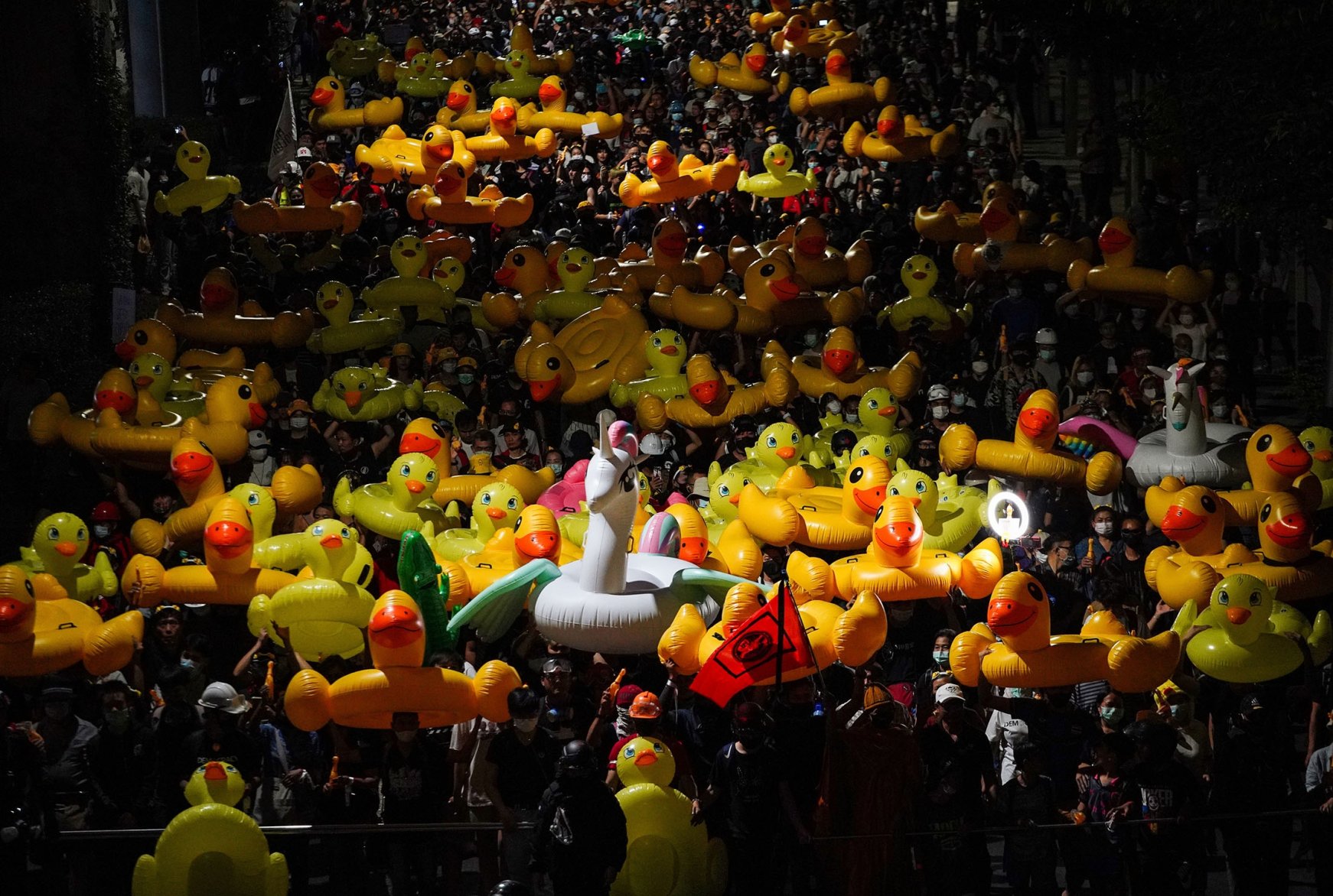 Protests, nature and monkeys: Top pictures of the week | Daily Sabah