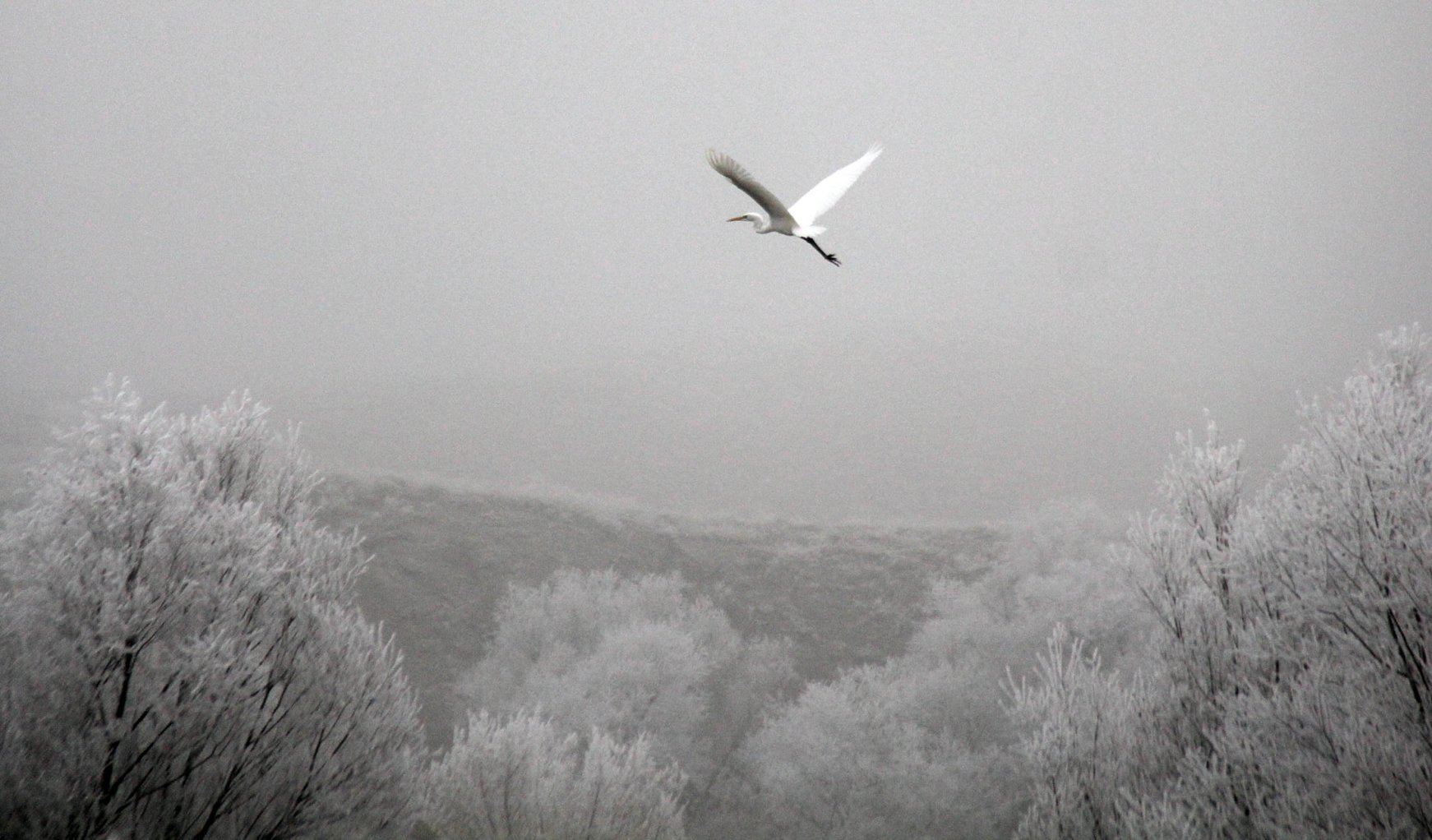 In photos: Fog and snow blanket central Turkey's Sivas | Daily Sabah