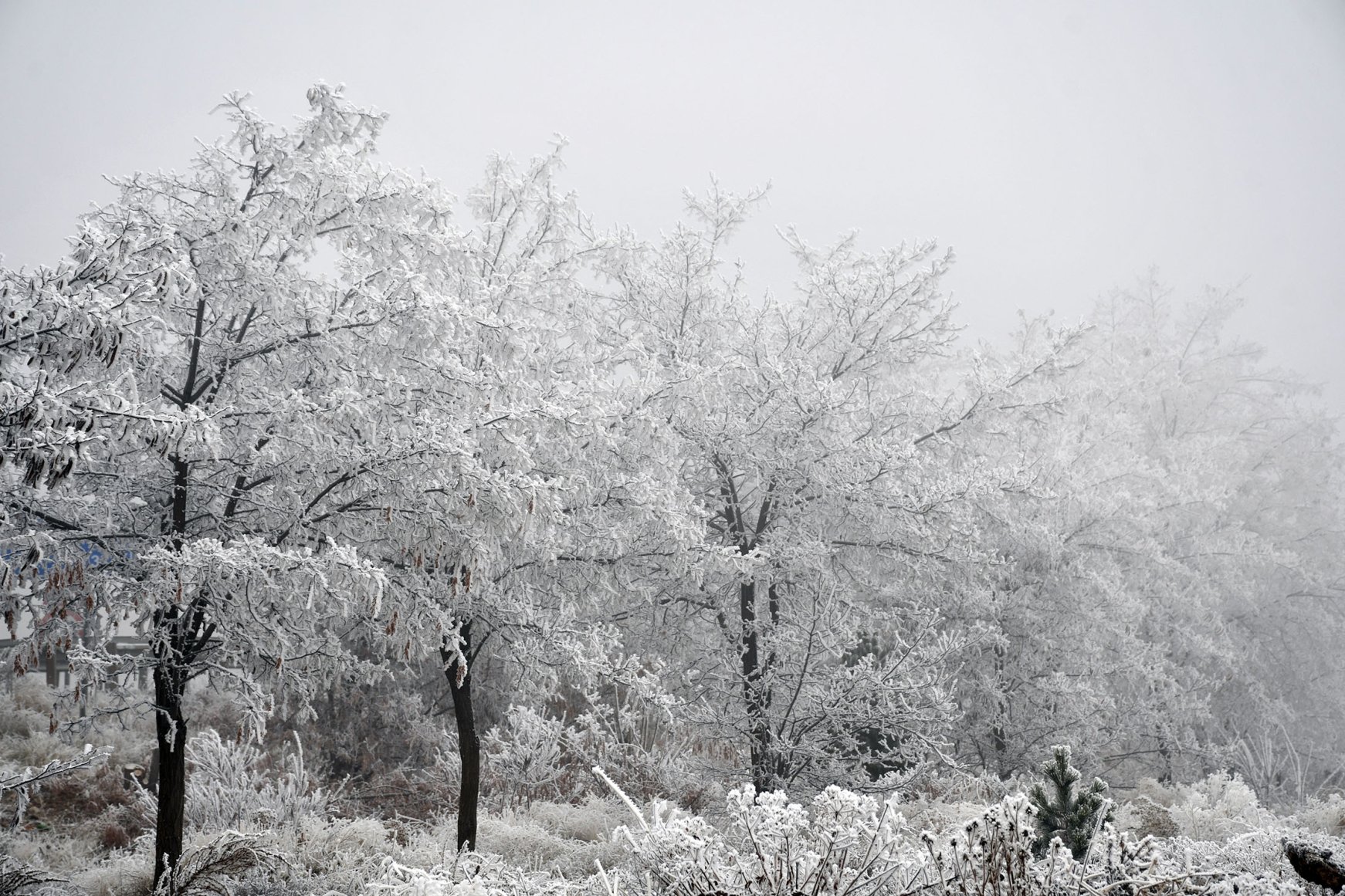 In photos: Fog and snow blanket central Turkey's Sivas | Daily Sabah