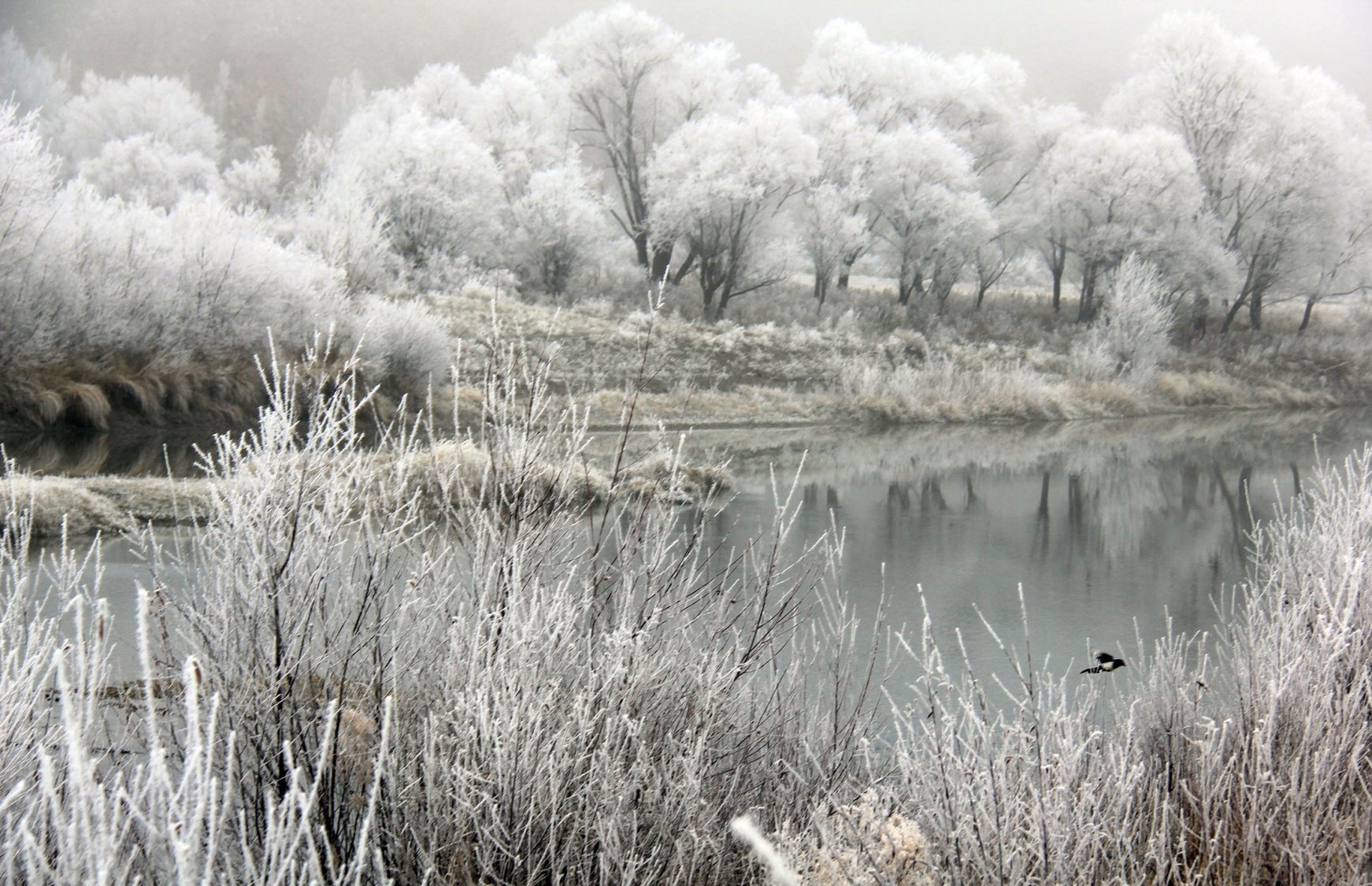 In photos: Fog and snow blanket central Turkey's Sivas | Daily Sabah