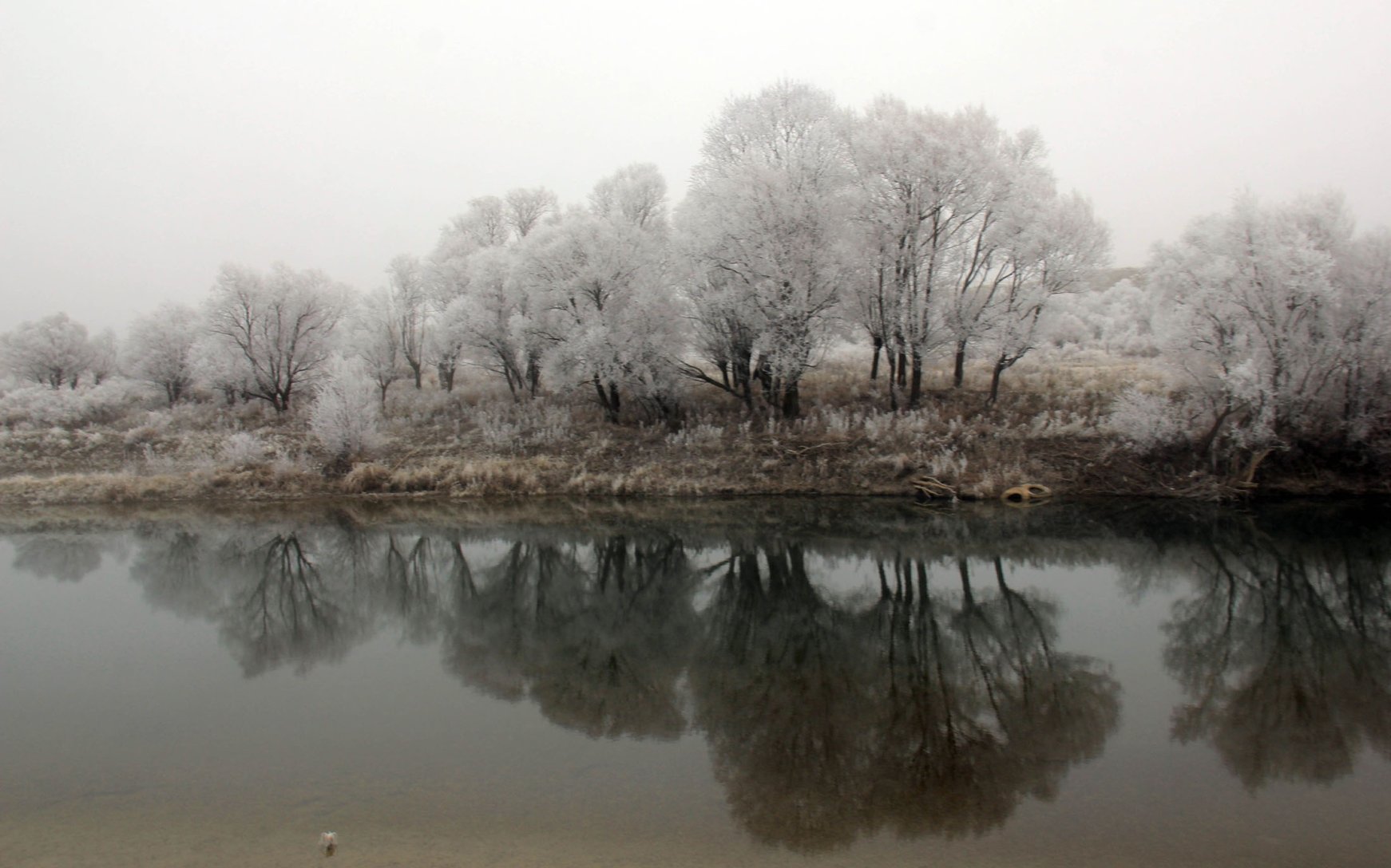 In photos: Fog and snow blanket central Turkey's Sivas | Daily Sabah