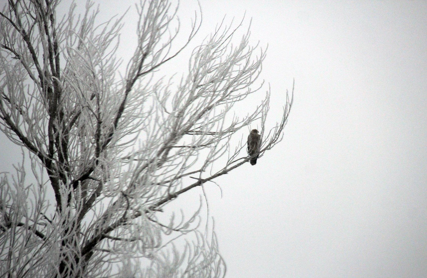 In photos: Fog and snow blanket central Turkey's Sivas | Daily Sabah