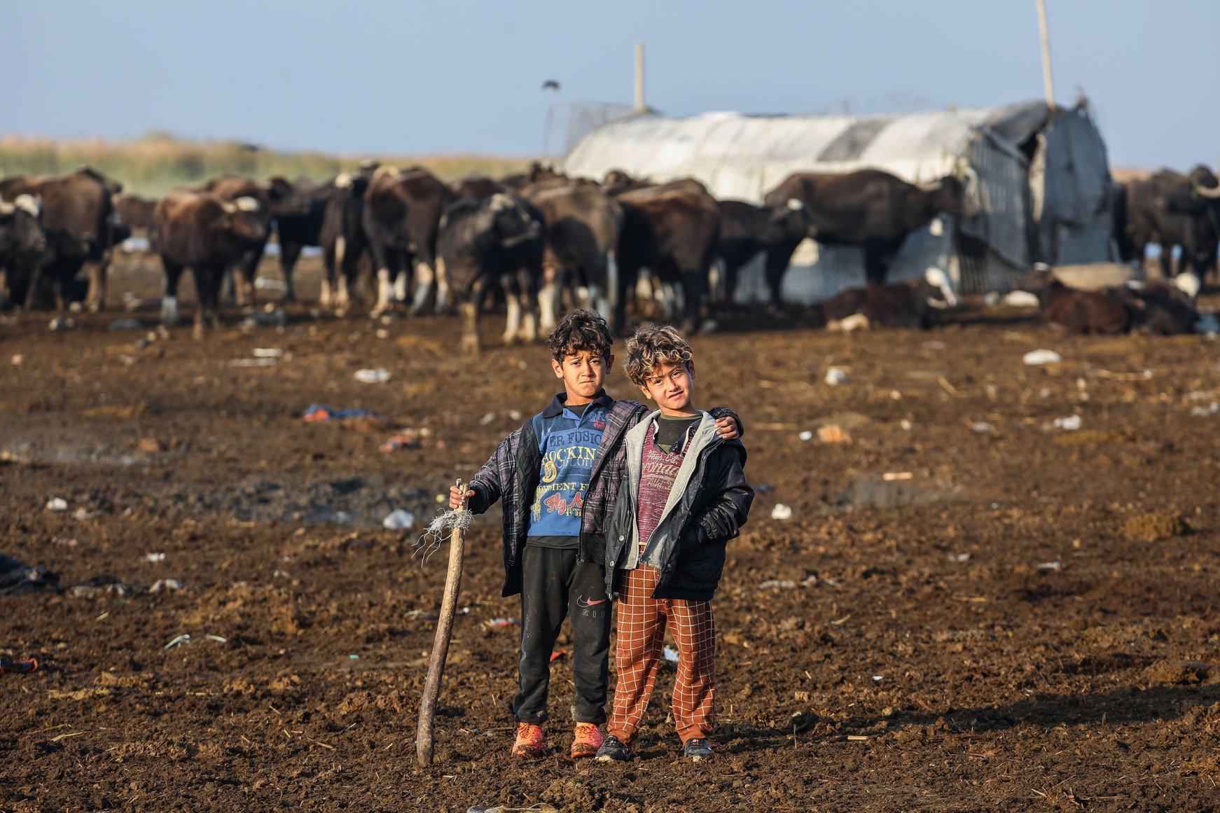Hidden beauty of Mesopotamia: Iraqi Marshes | Daily Sabah