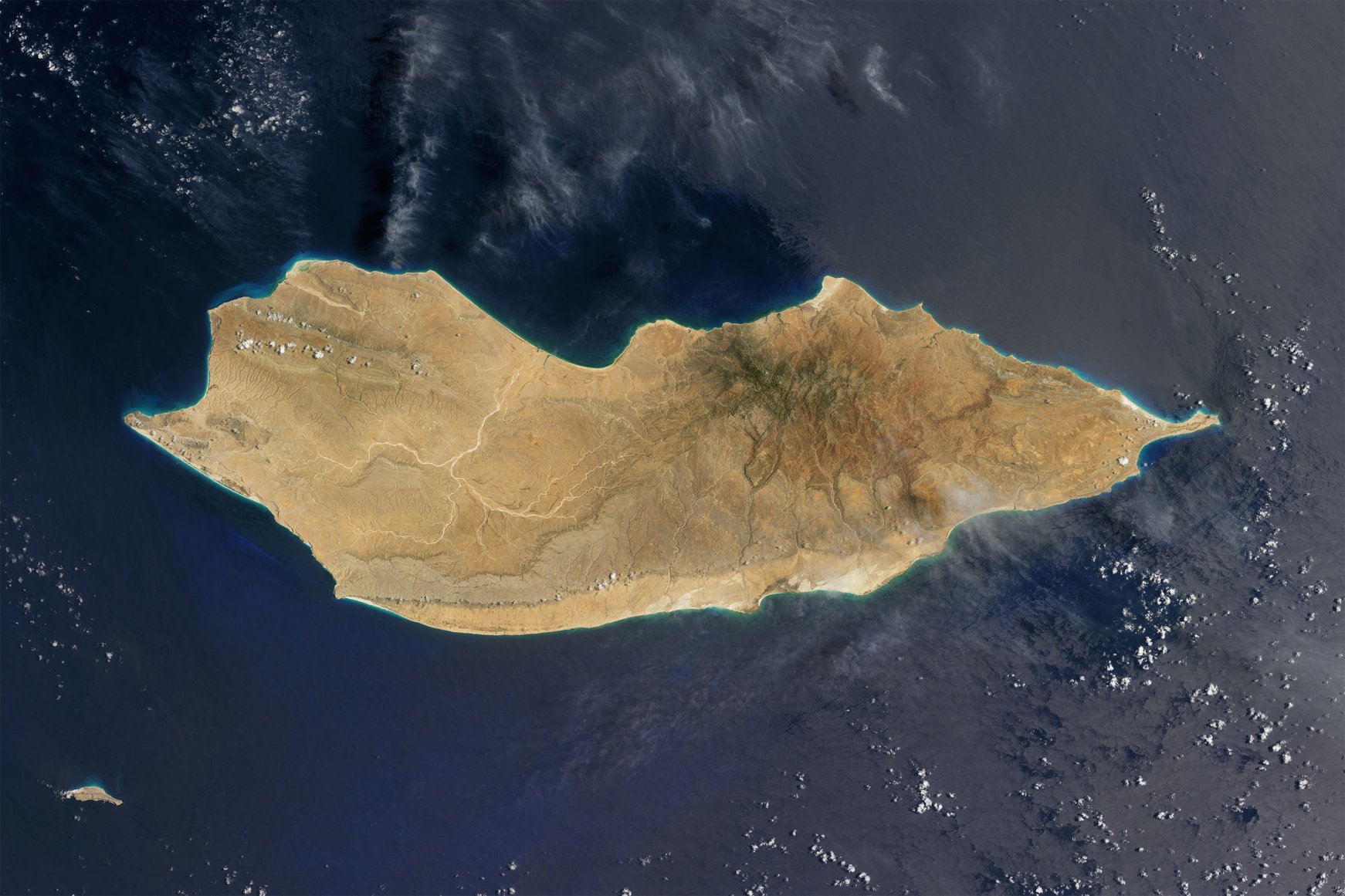 Yemen's Socotra: One of the most out-of-this-world places on Earth ...