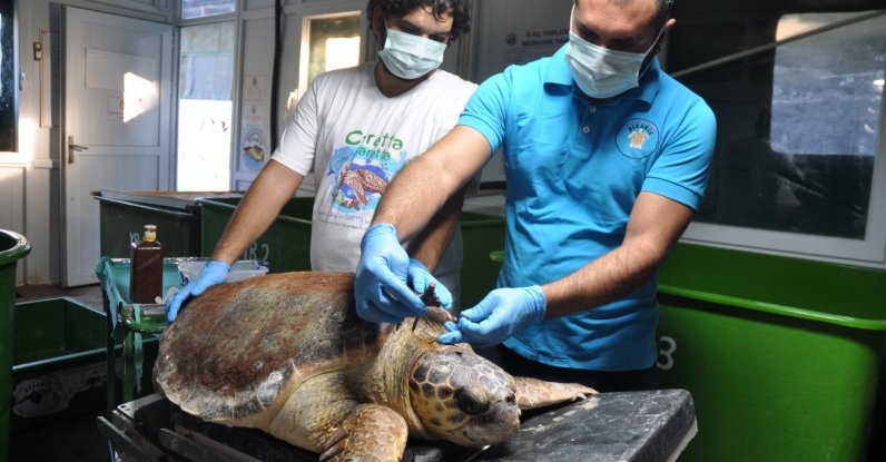 Russia declassifies footage of world’s largest hydrogen bomb detonation ...