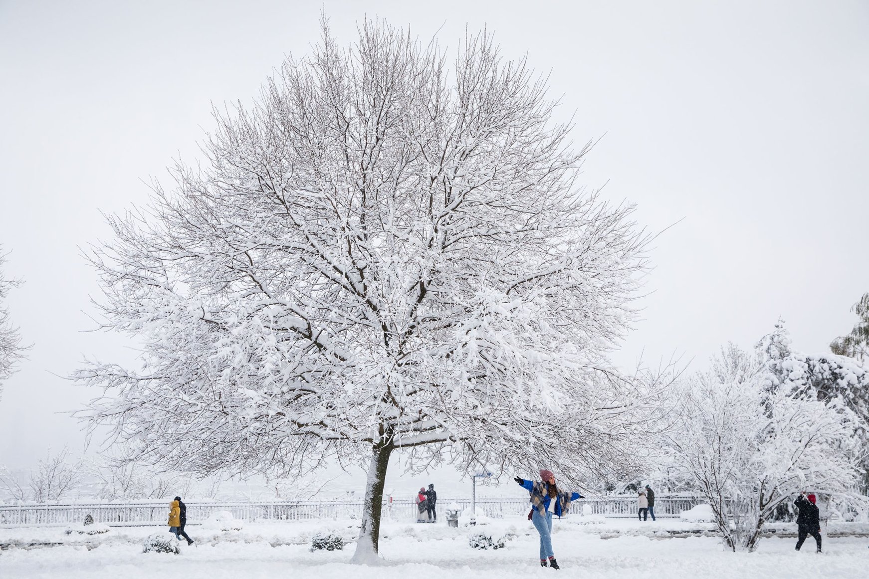 Long-awaited snow blankets Istanbul, Turkey's largest city | Daily Sabah