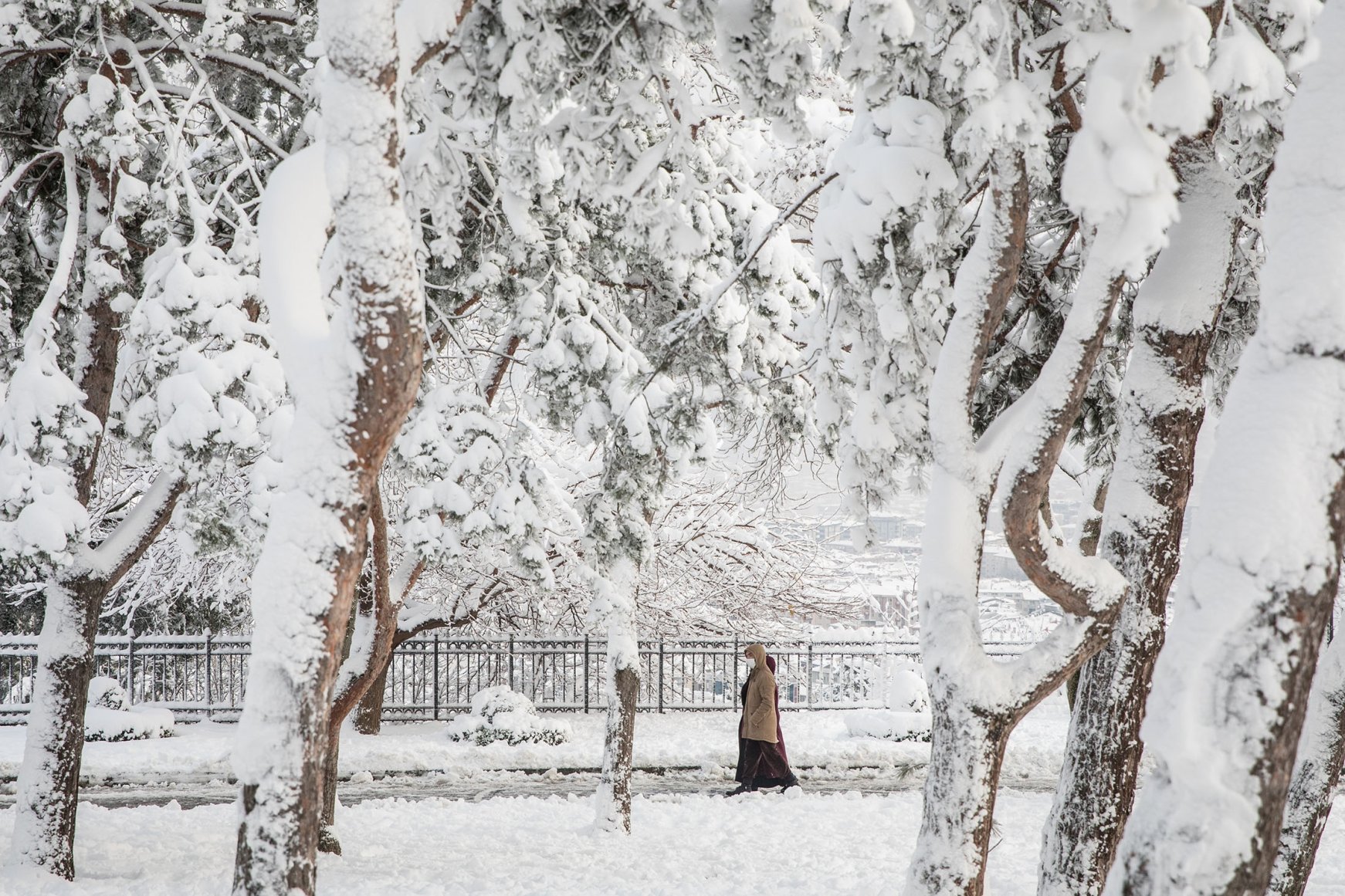 Long-awaited snow blankets Istanbul, Turkey's largest city | Daily Sabah