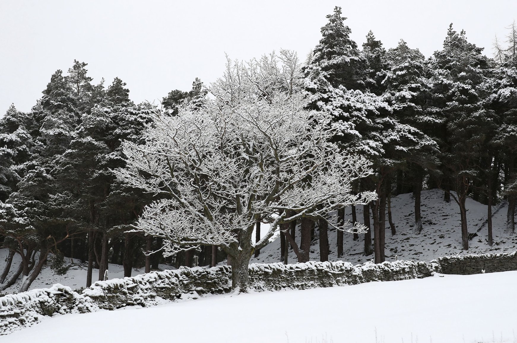 Harsh winter weather in Europe brings damage and fun | Daily Sabah