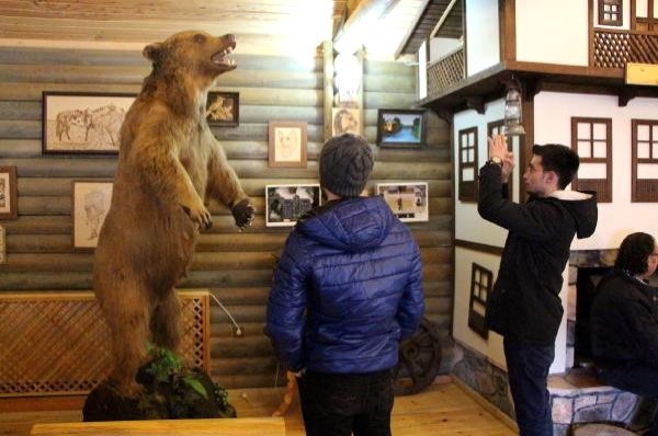 Bear statue plan finds mixed public reaction in Turkey's Bolu | Daily Sabah