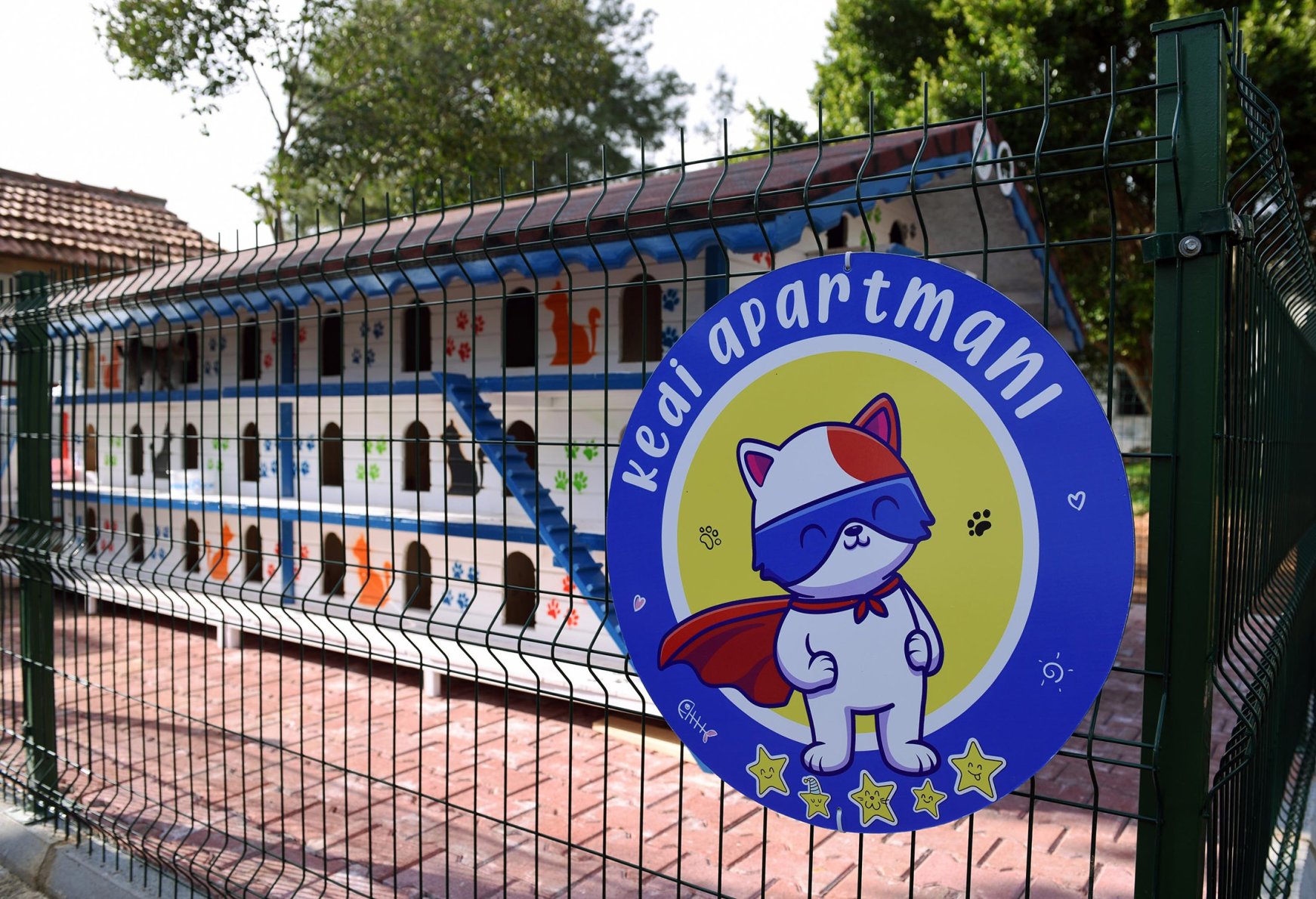 'Paw City' welcomes fluffy residents in Turkey's Antalya | Daily Sabah