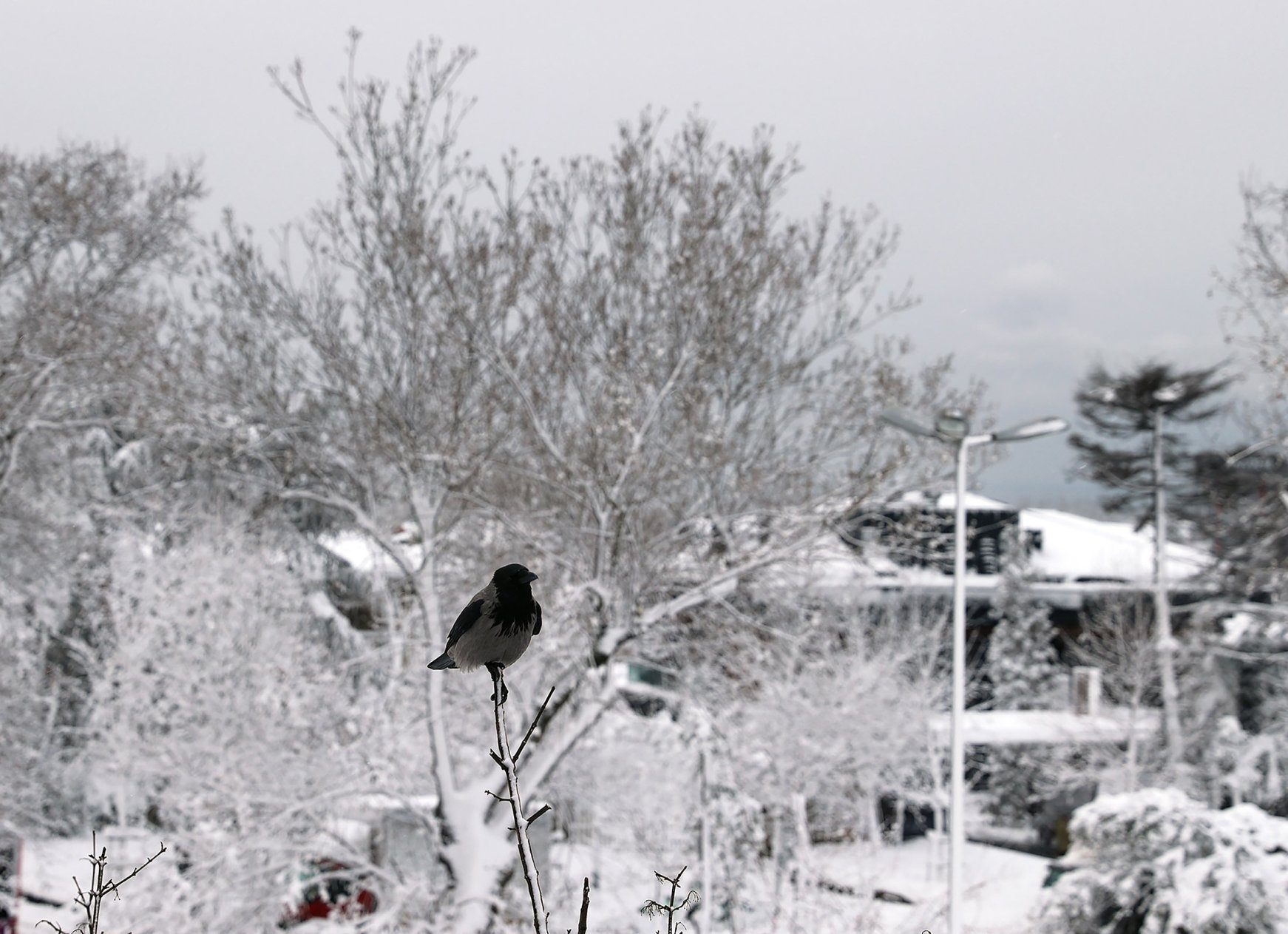 In photos: Heavy snowfall grips Turkey's Istanbul | Daily Sabah