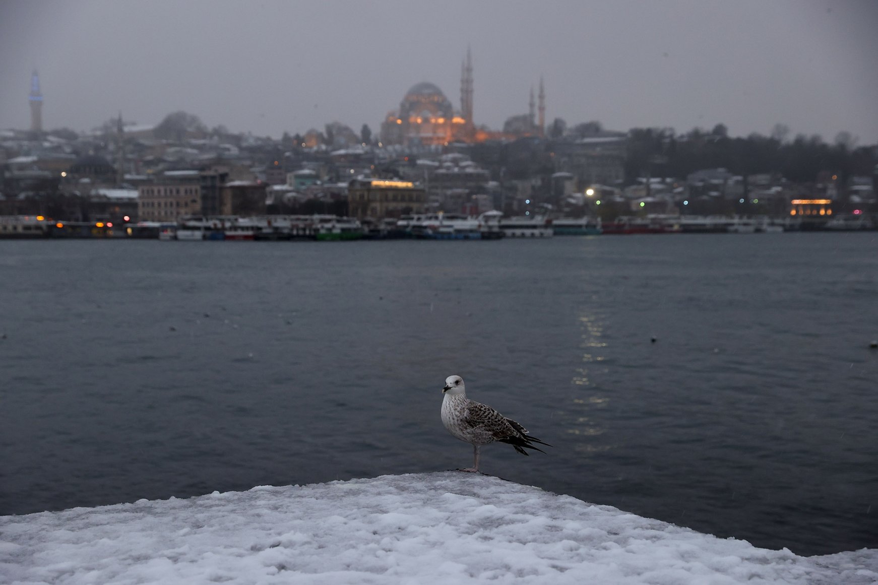 In photos: Heavy snowfall grips Turkey's Istanbul | Daily Sabah