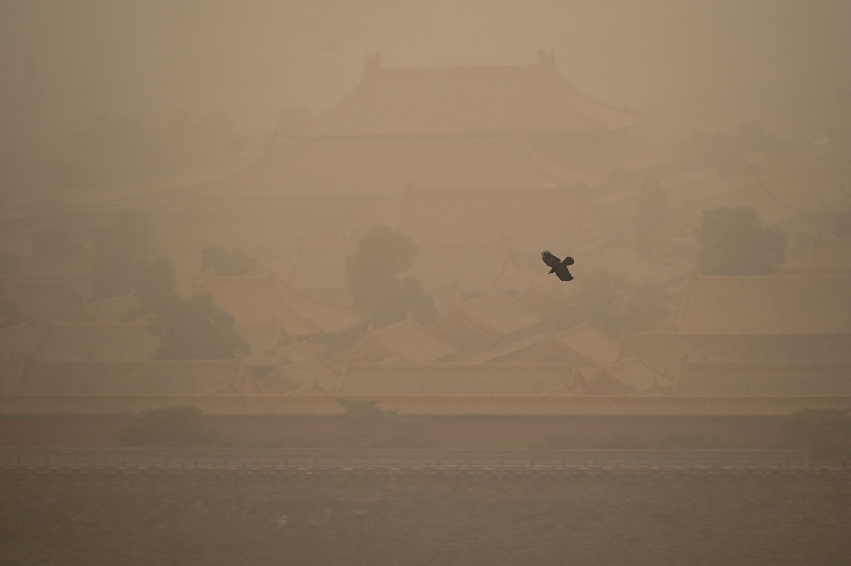 In photos: Biggest sandstorm in decade hits Beijing | Daily Sabah