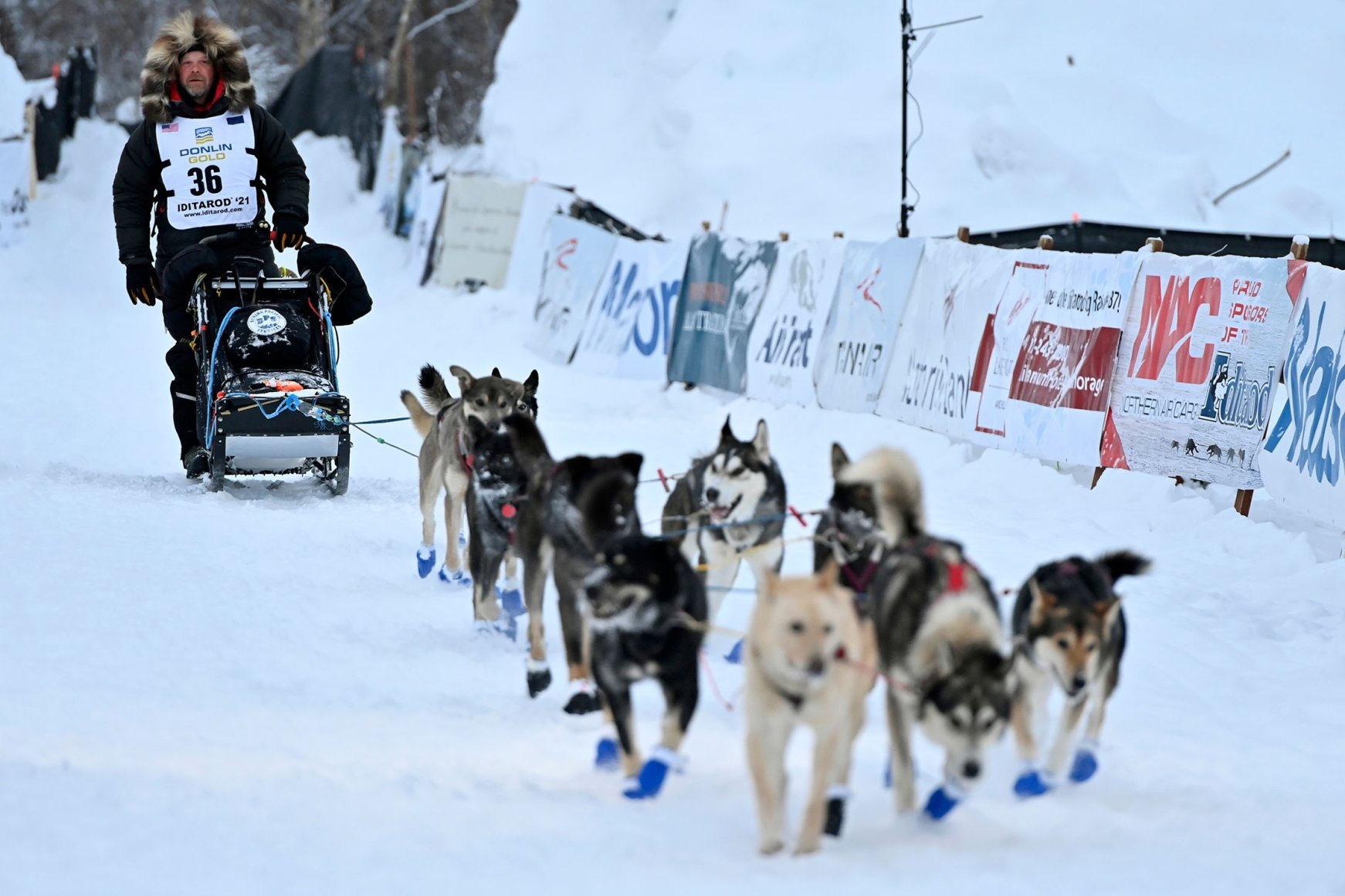 Best of Iditarod Sled Dog Race 2021 | Daily Sabah