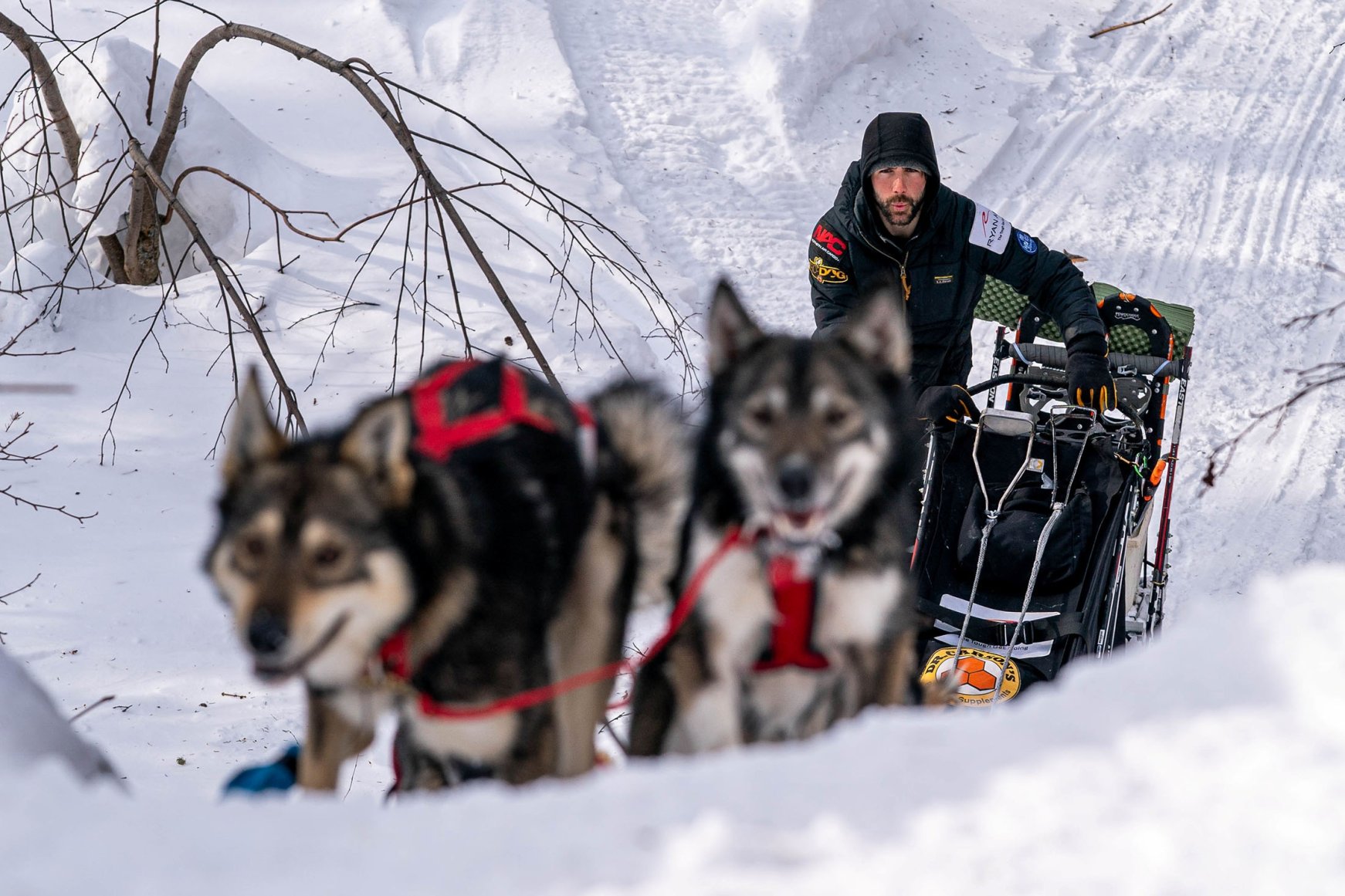 Best of Iditarod Sled Dog Race 2021 | Daily Sabah