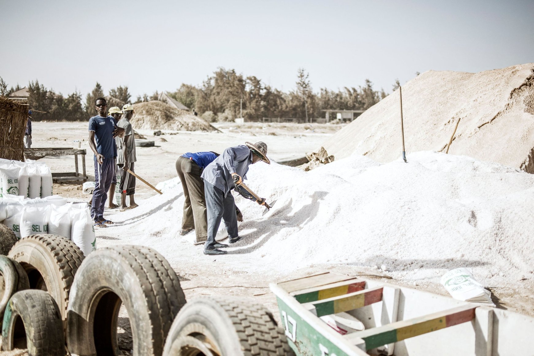 Salt harvesting at Senegal's Pink Lake | Daily Sabah