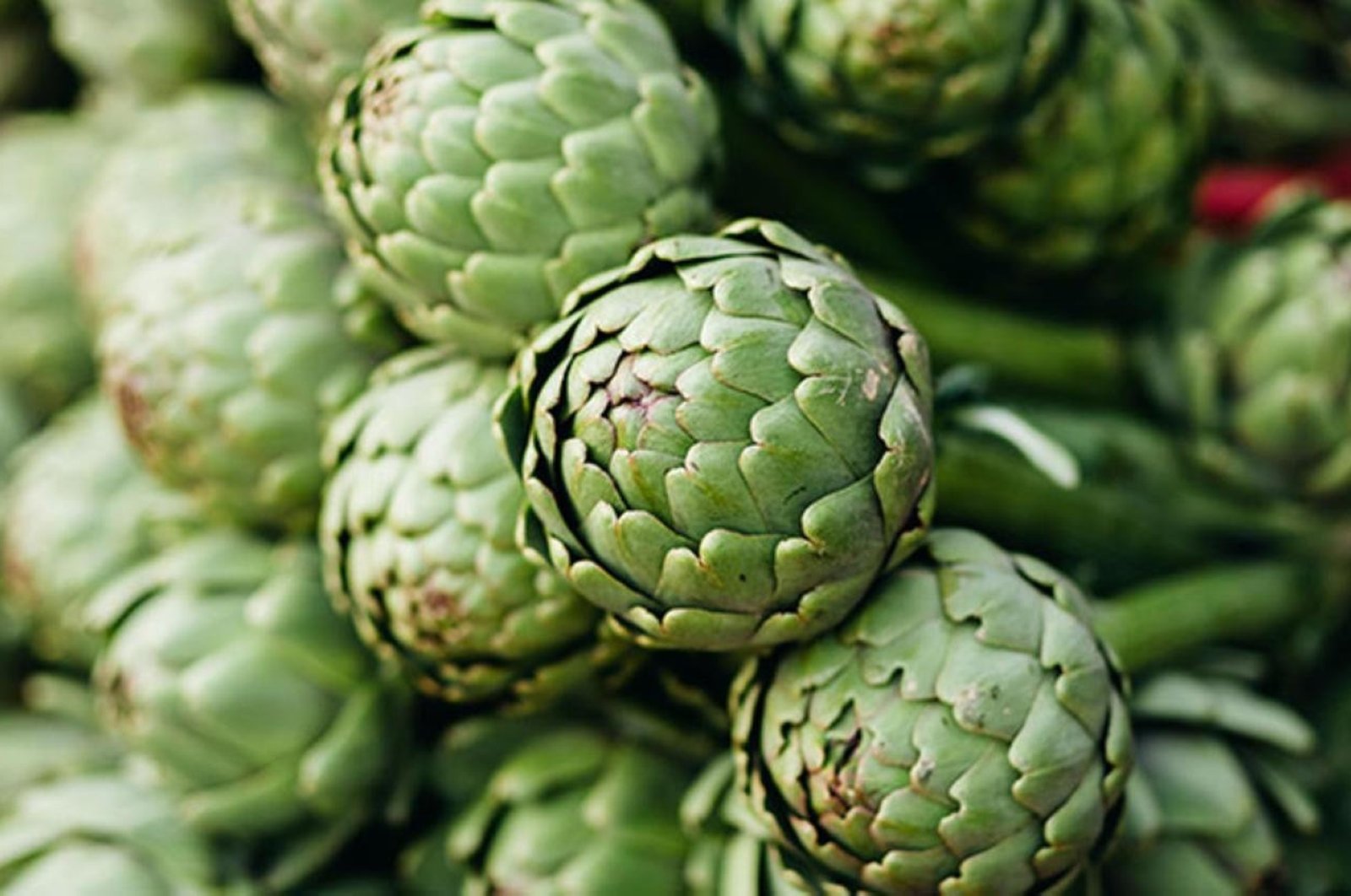 6 most fruitful farmers' markets along Turkey's Aegean coast | Daily Sabah