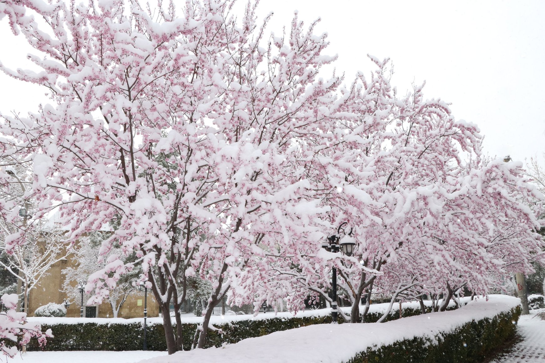 Indonesia floods, late snow and protests: Top pictures of the week ...