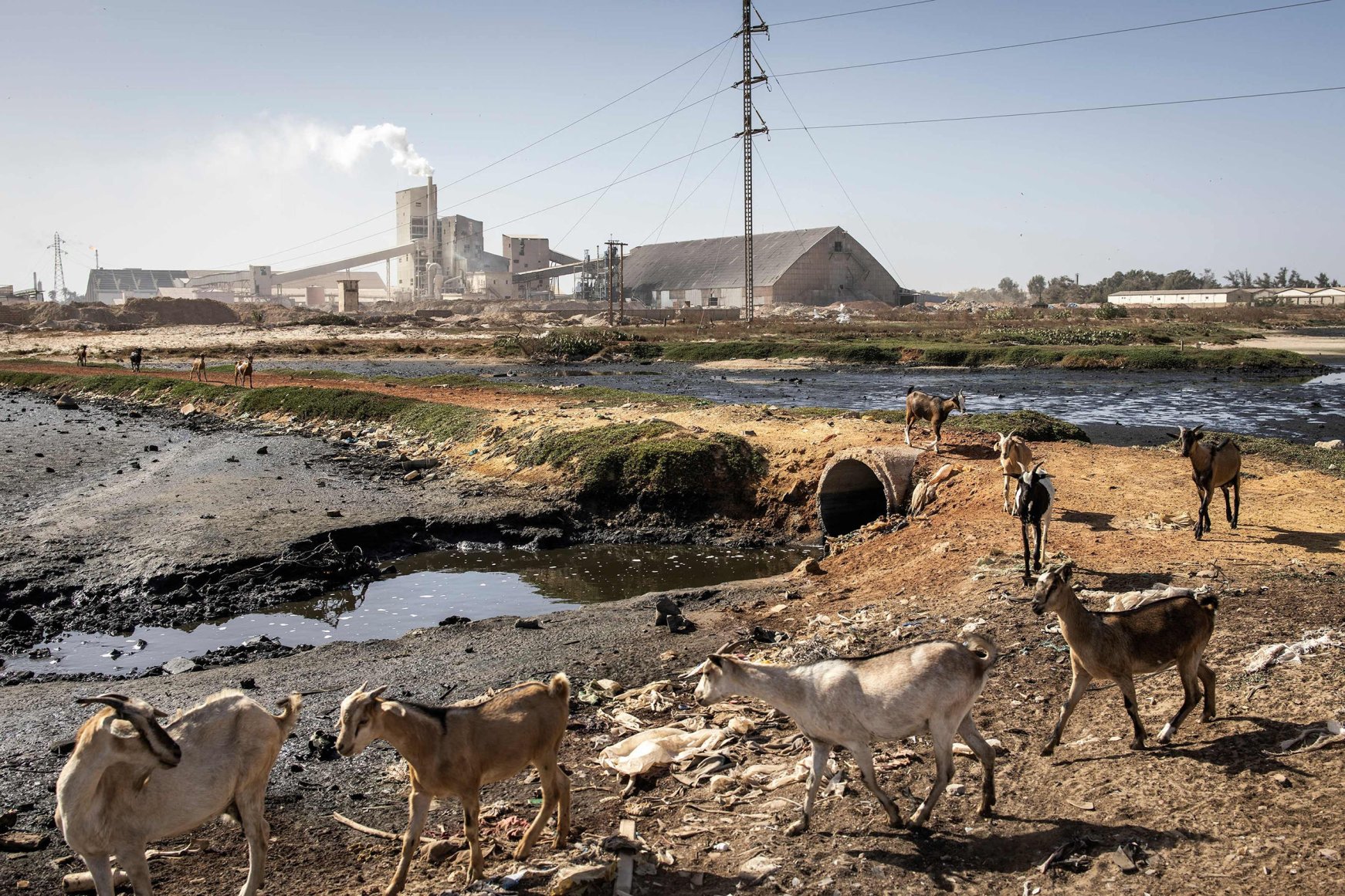 Life in Senegal's chemically polluted Petit Mbao | Daily Sabah