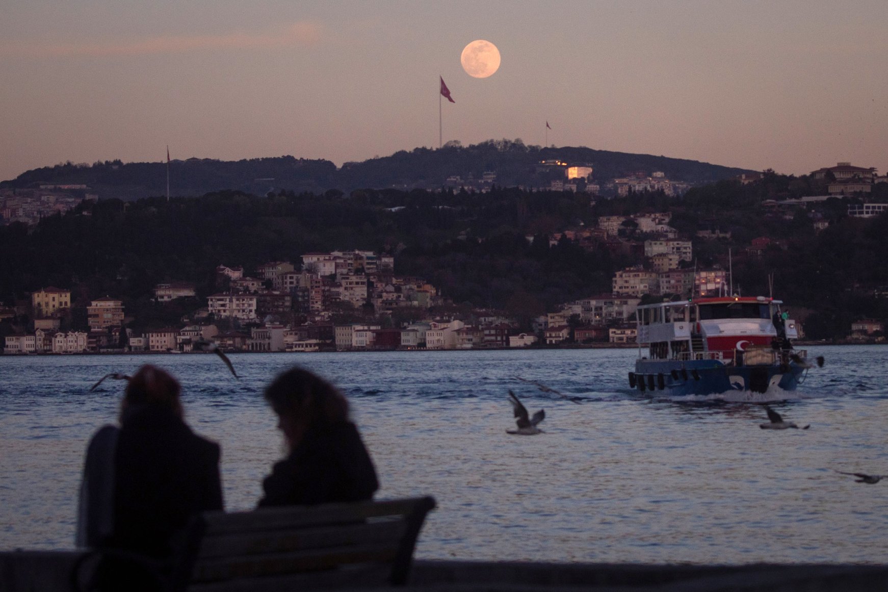 Pink supermoon lights up night skies around the world | Daily Sabah