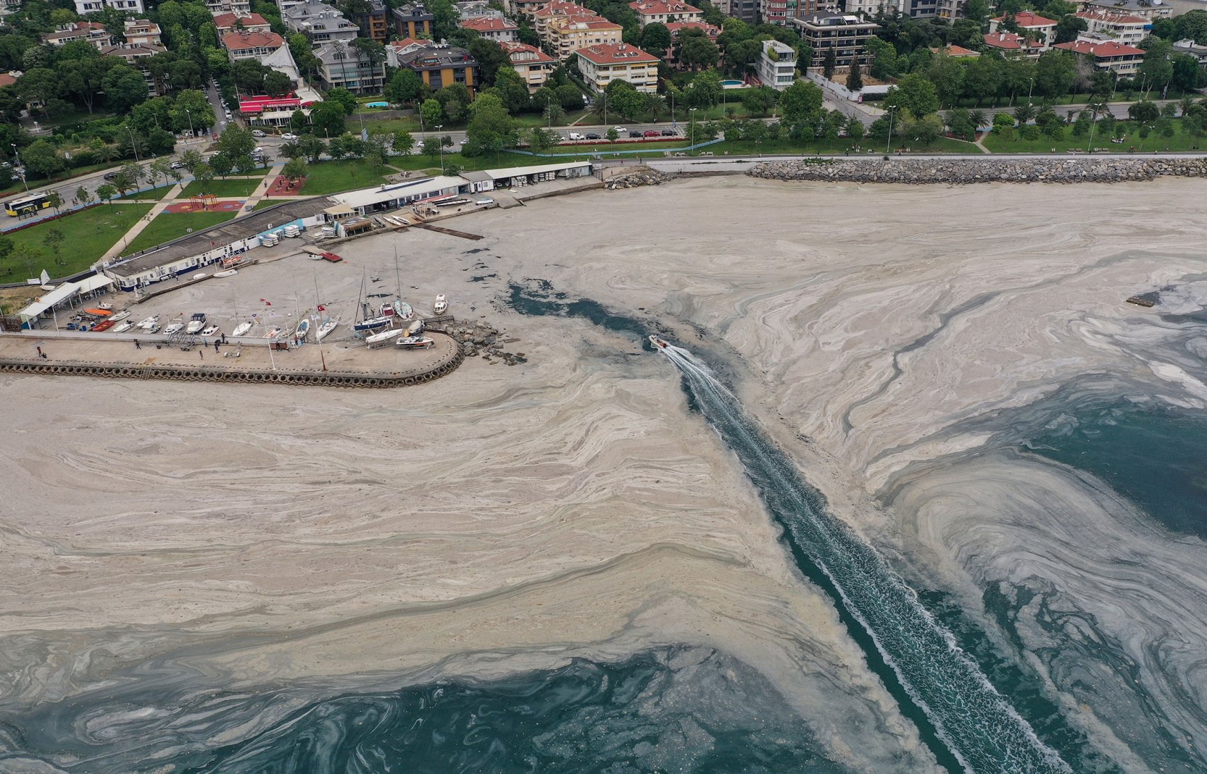 Sea snot: Turkey's coasts marbled by mucilage | Daily Sabah