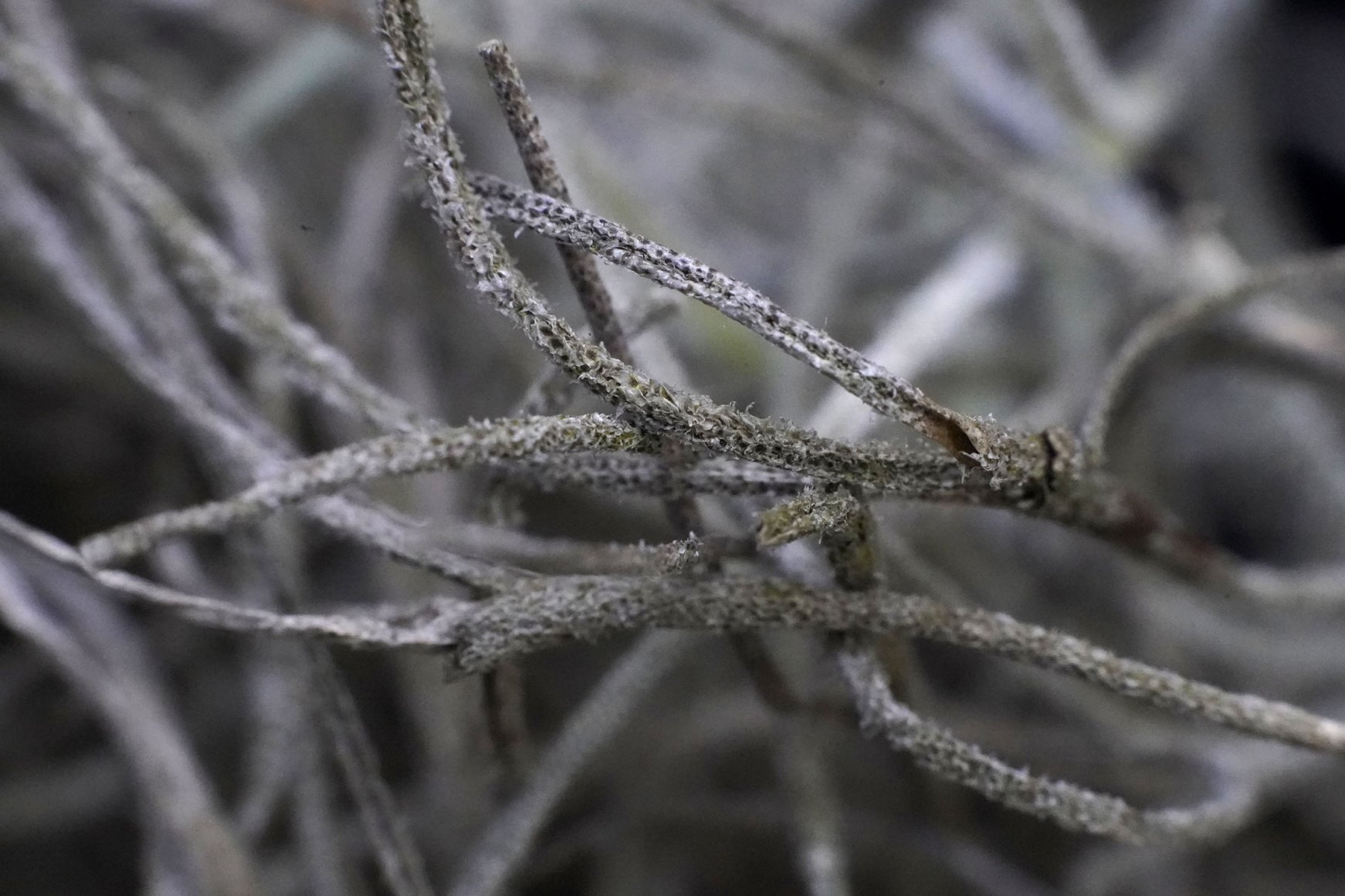 In photos: Louisiana's Hog Bayou in all its stunning beauty | Daily Sabah