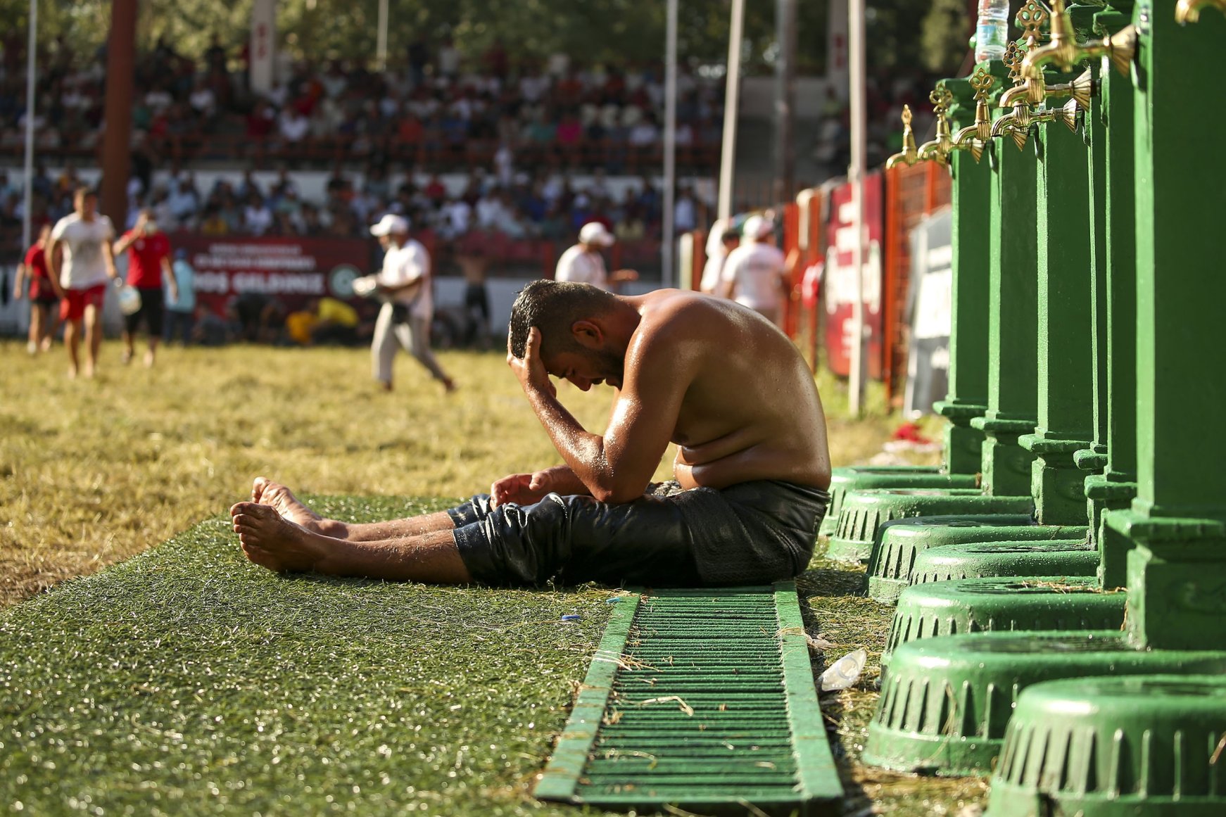 Turkey's oil wrestling festival returns after yearlong hiatus | Daily Sabah