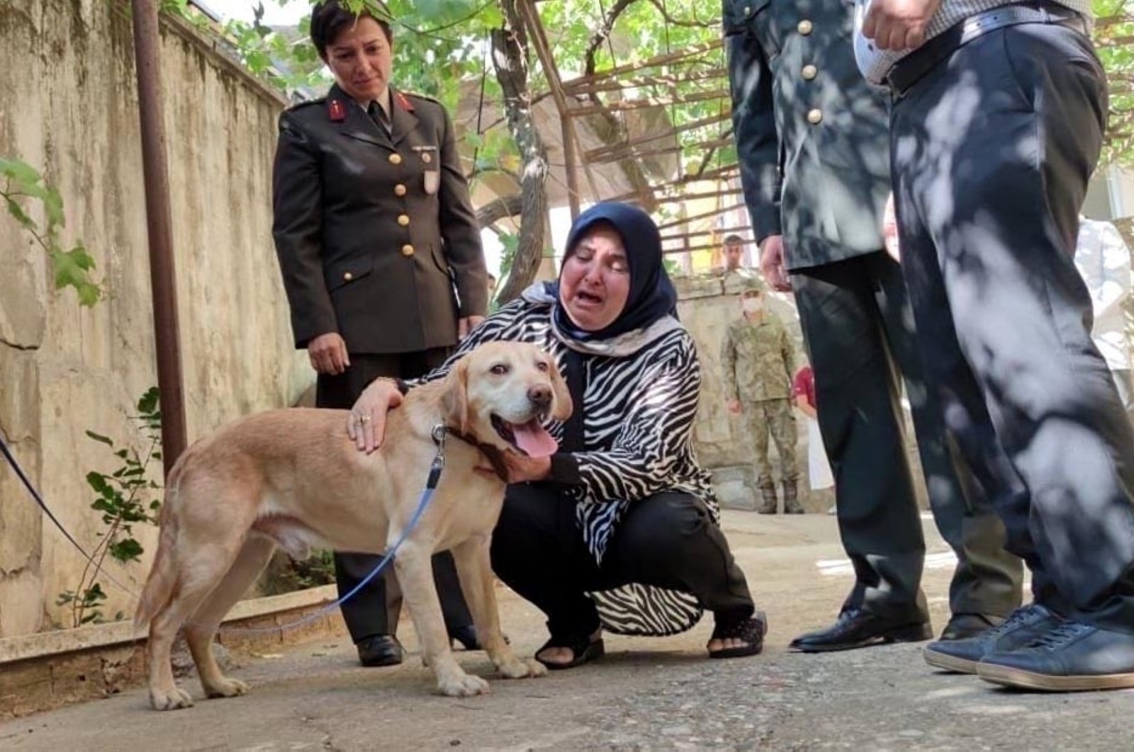 Army dog finds new home with slain Turkish soldier’s family | Daily Sabah