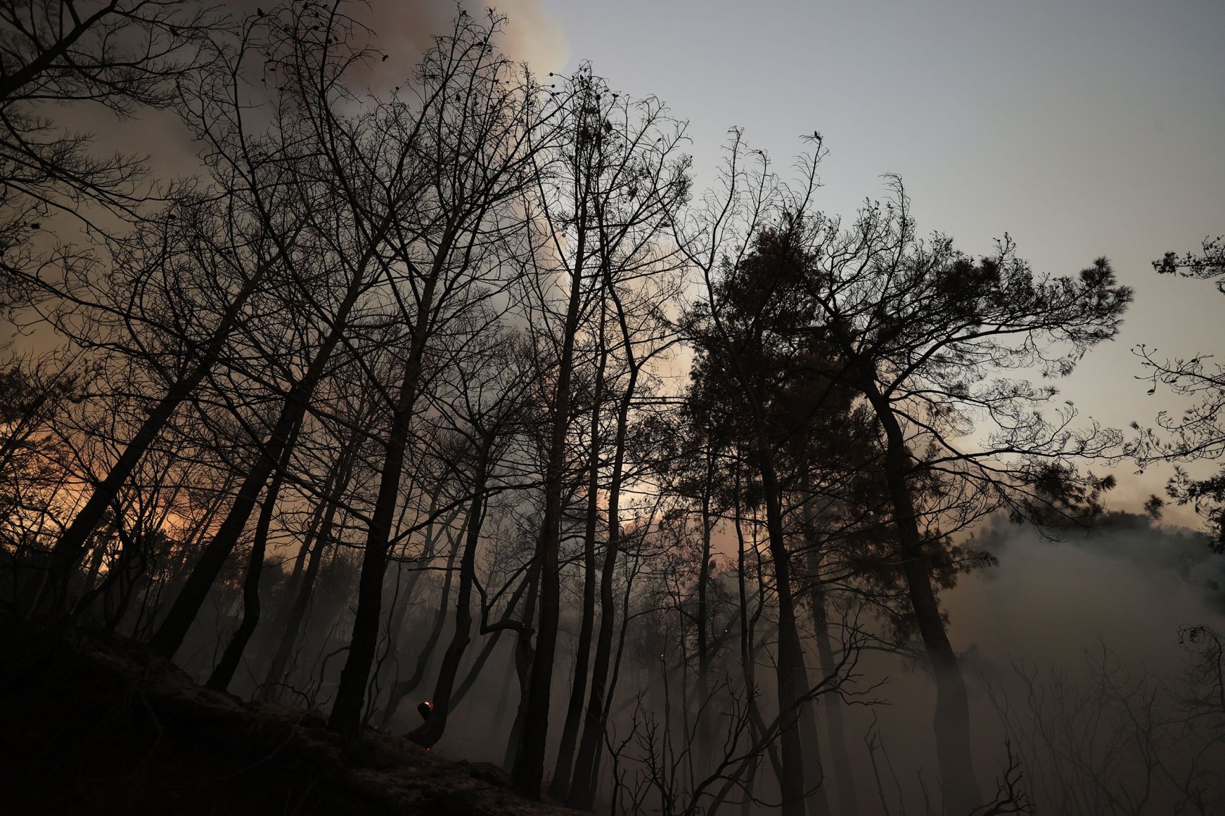 Forest fires hit Turkey's coastal resort areas | Daily Sabah